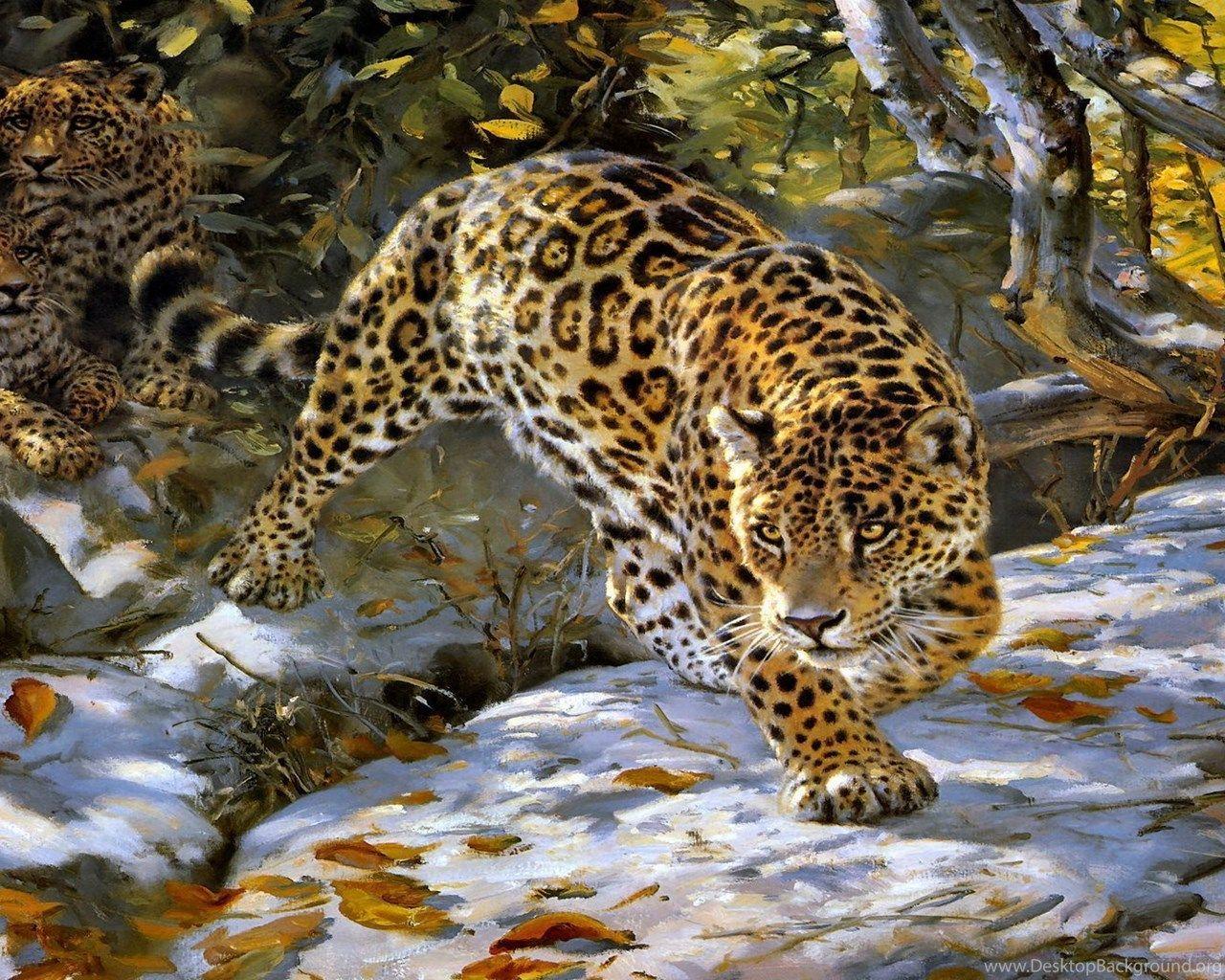 Big 5 Wallpapers - Top Free Big 5 Backgrounds - WallpaperAccess