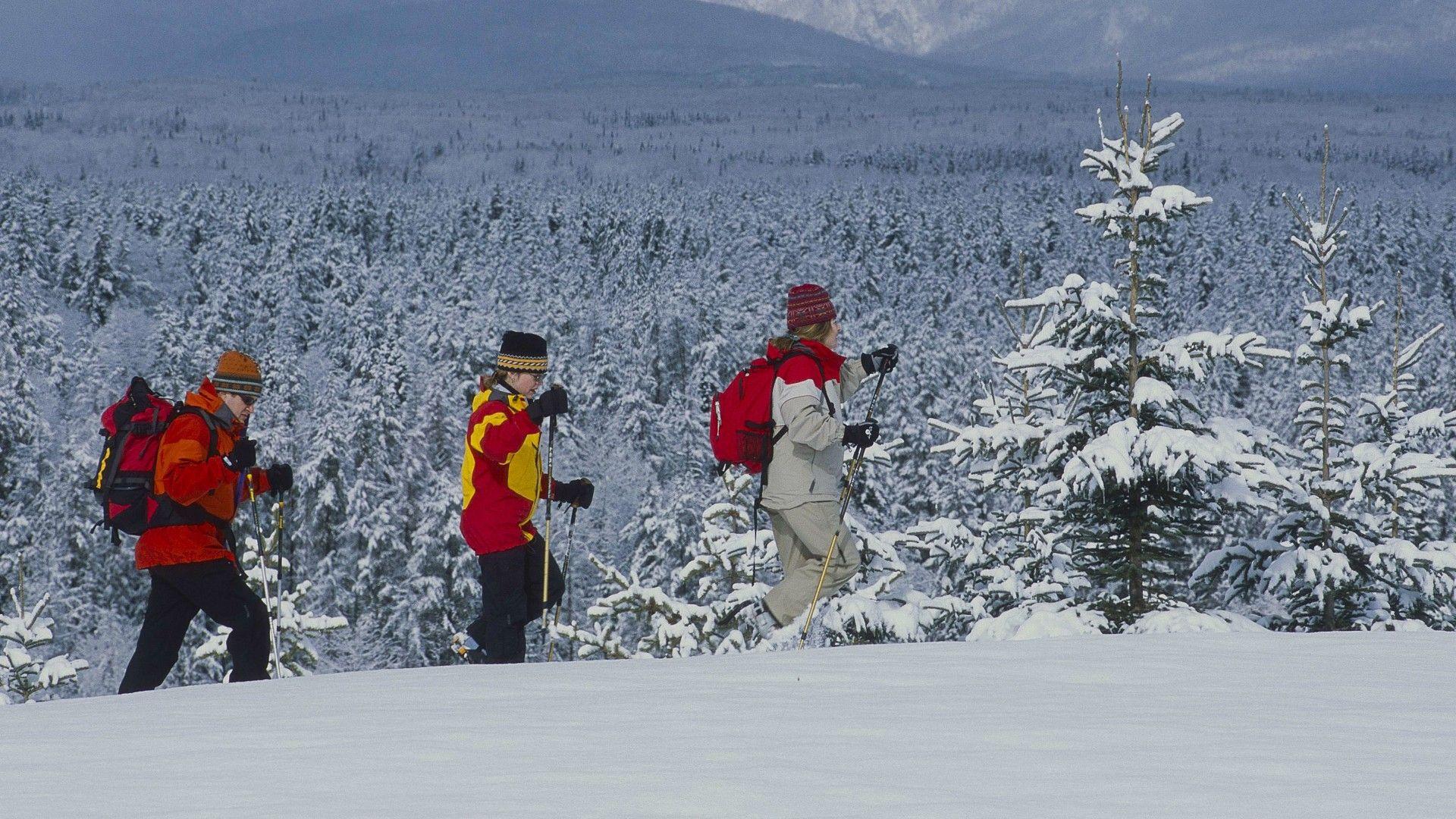 Backcountry Skiing Wallpapers - Top Free Backcountry Skiing Backgrounds ...