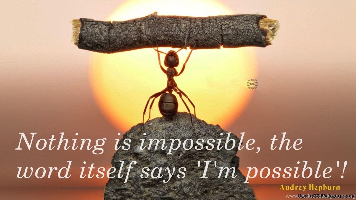 Positive HD Desktop Wallpapers - Top Free Positive HD Desktop ...