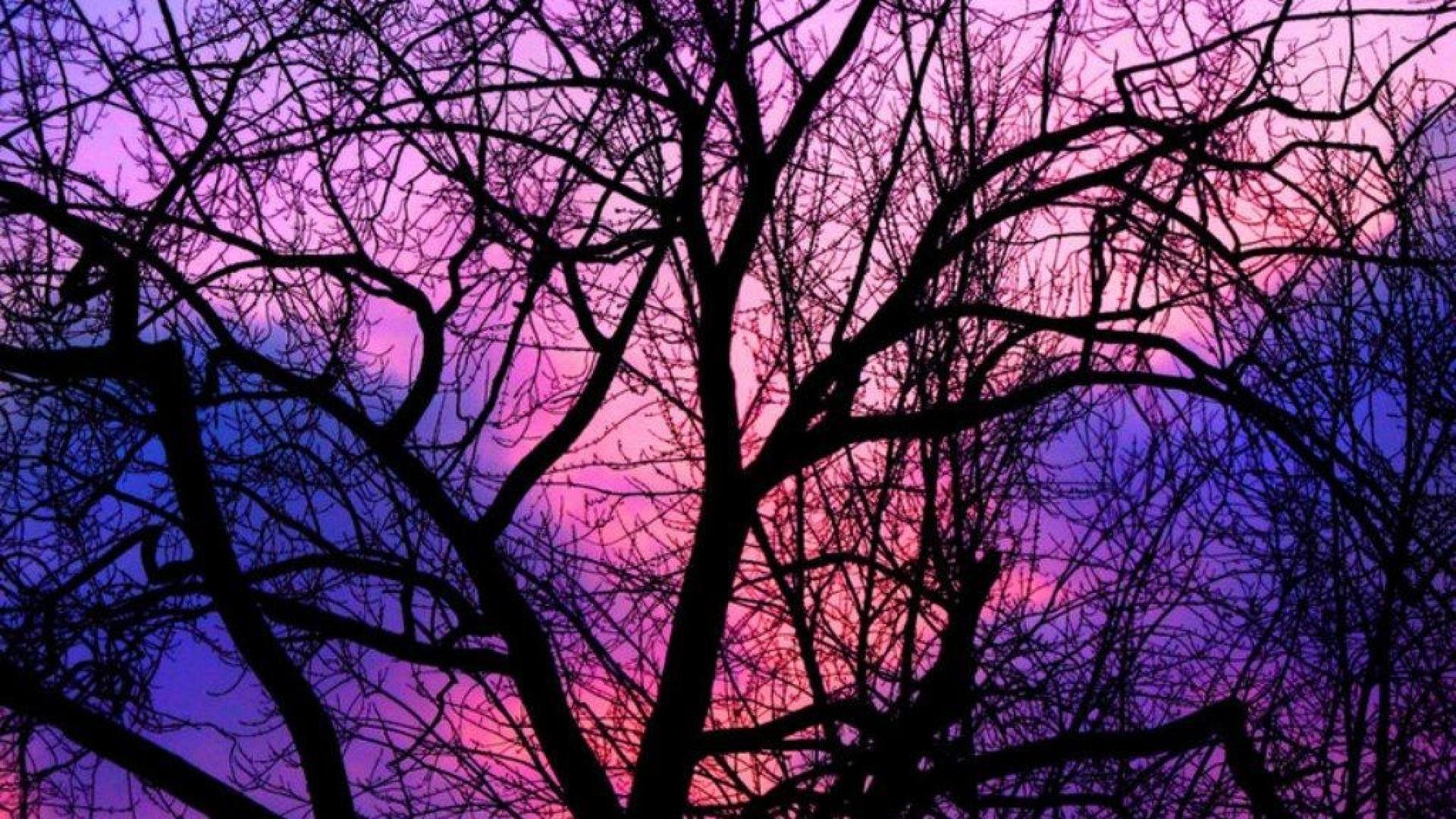 Cotton Candy Desktop Wallpapers - Top Free Cotton Candy Desktop ...