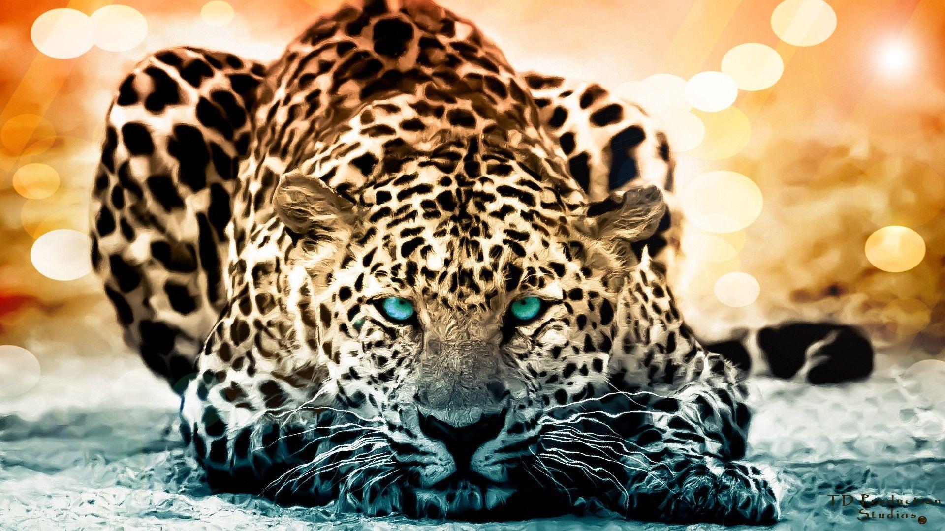 Cool Wild Wallpapers - Top Free Cool Wild Backgrounds - WallpaperAccess