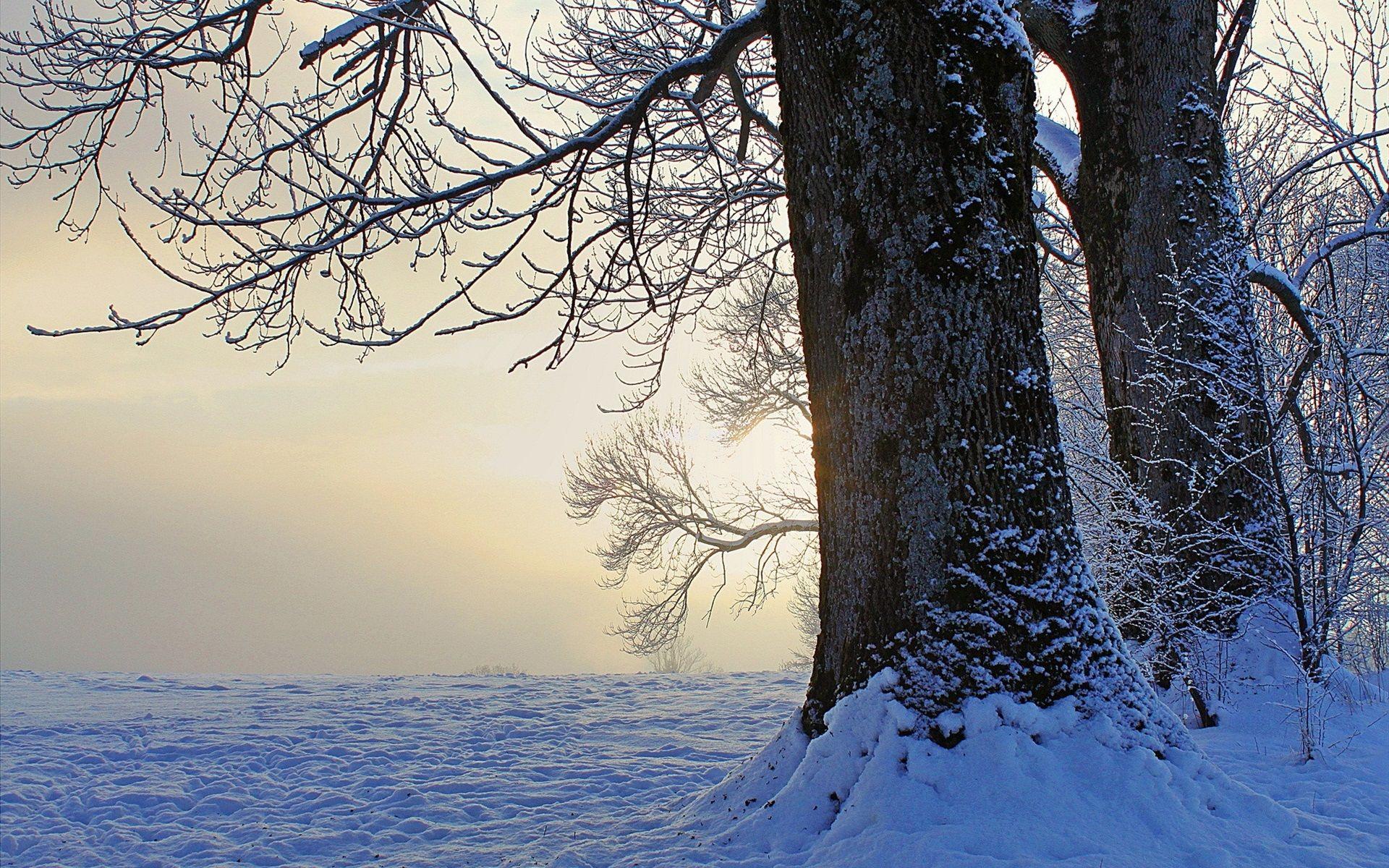Japan Snow Wallpapers - Top Free Japan Snow Backgrounds - WallpaperAccess