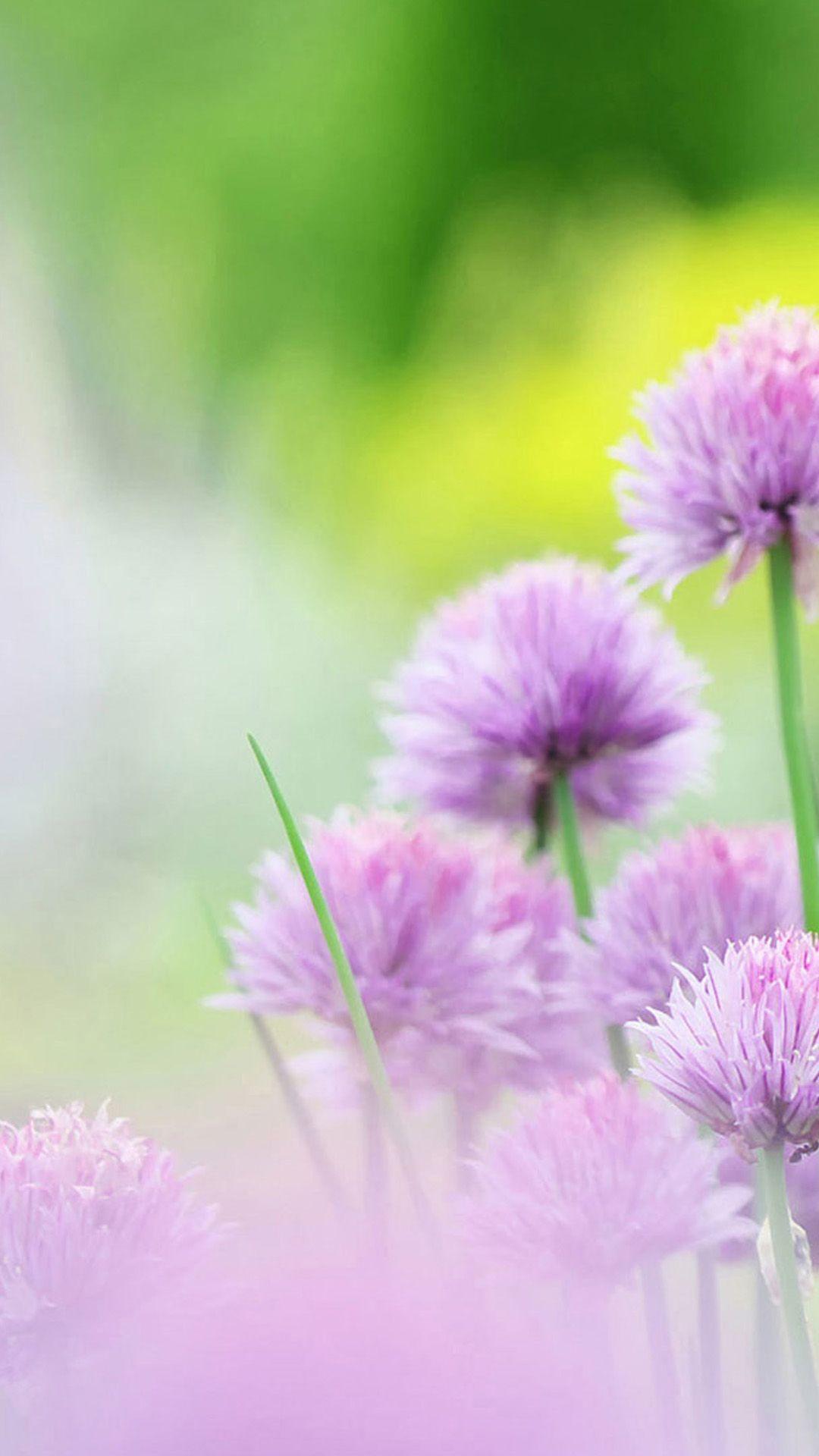 Samsung Pink Wallpapers - Top Free Samsung Pink Backgrounds ...