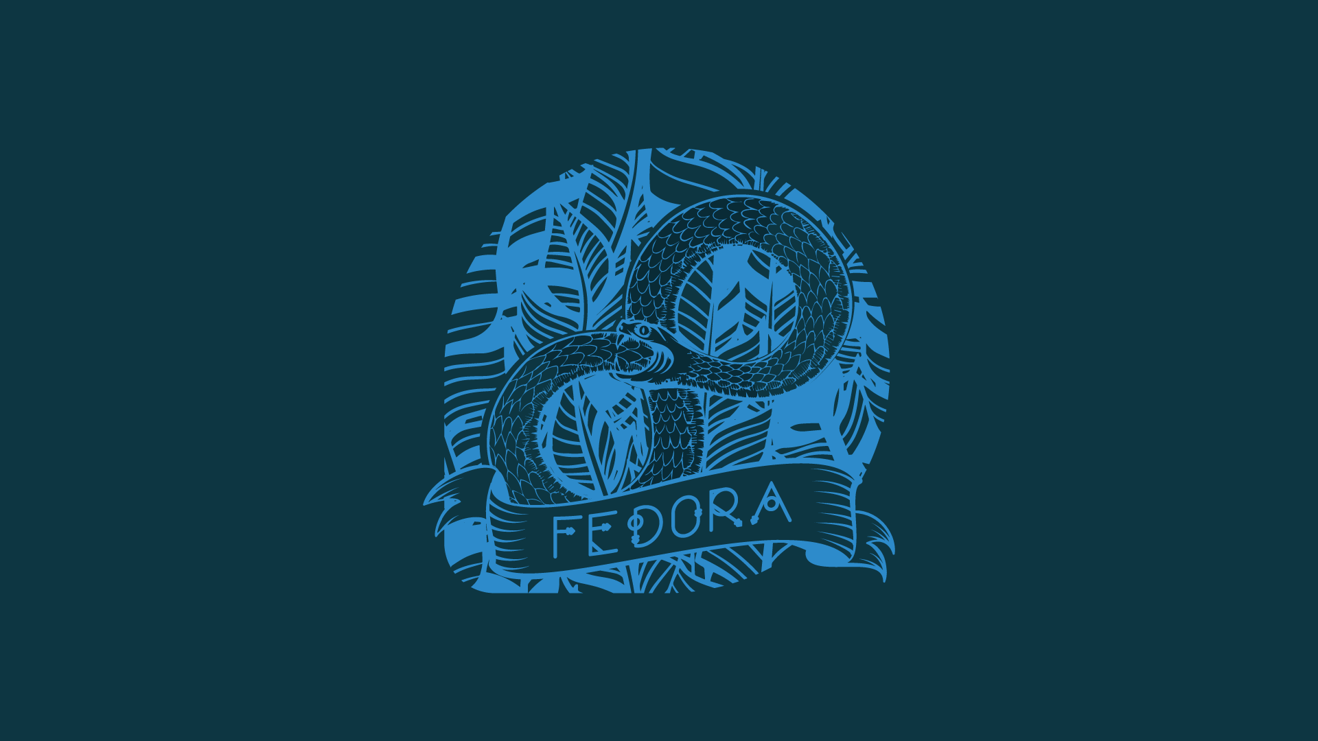 Fedora Linux Wallpapers - Top Free Fedora Linux Backgrounds ...