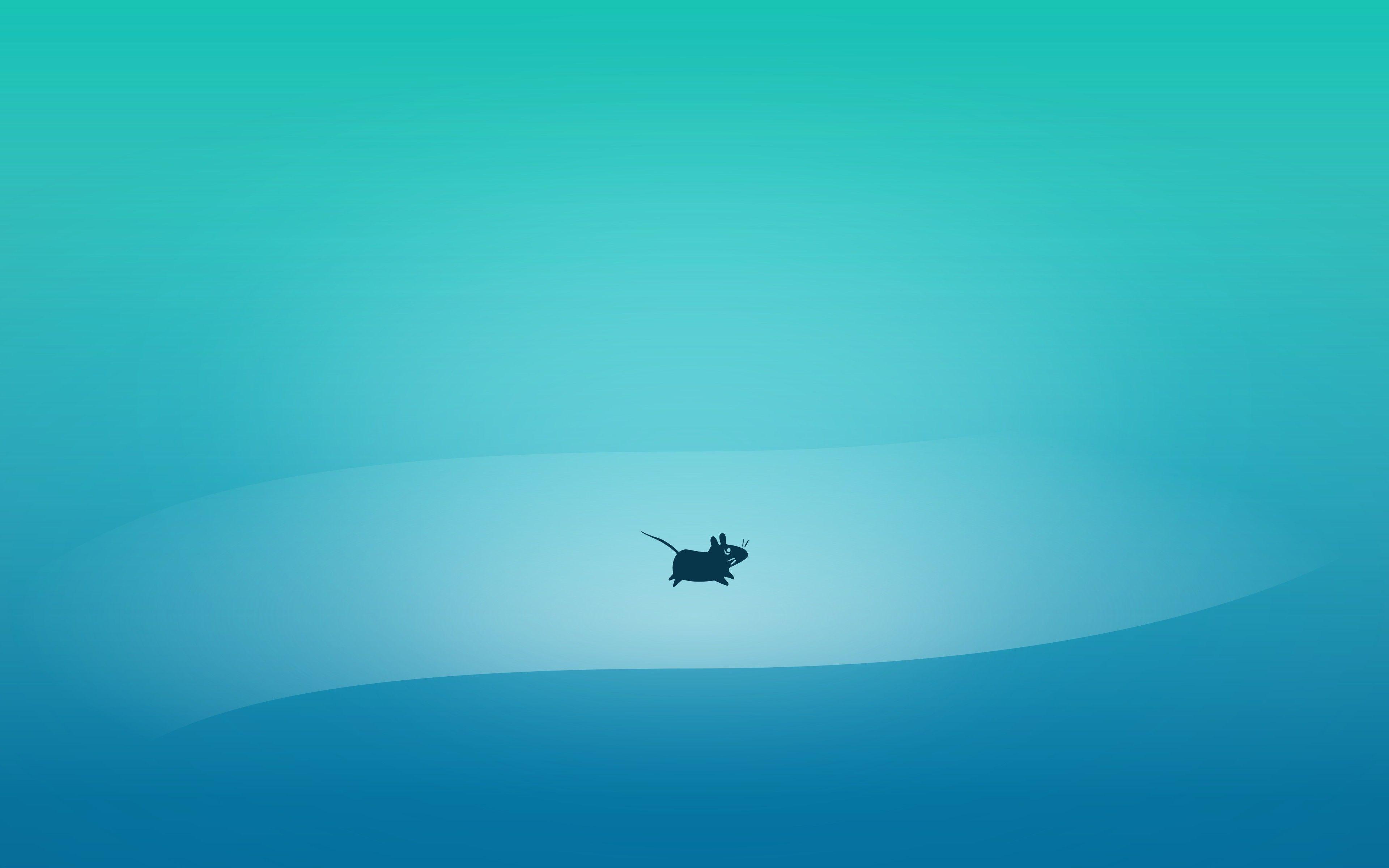 Xubuntu Wallpapers - Top Free Xubuntu Backgrounds - WallpaperAccess