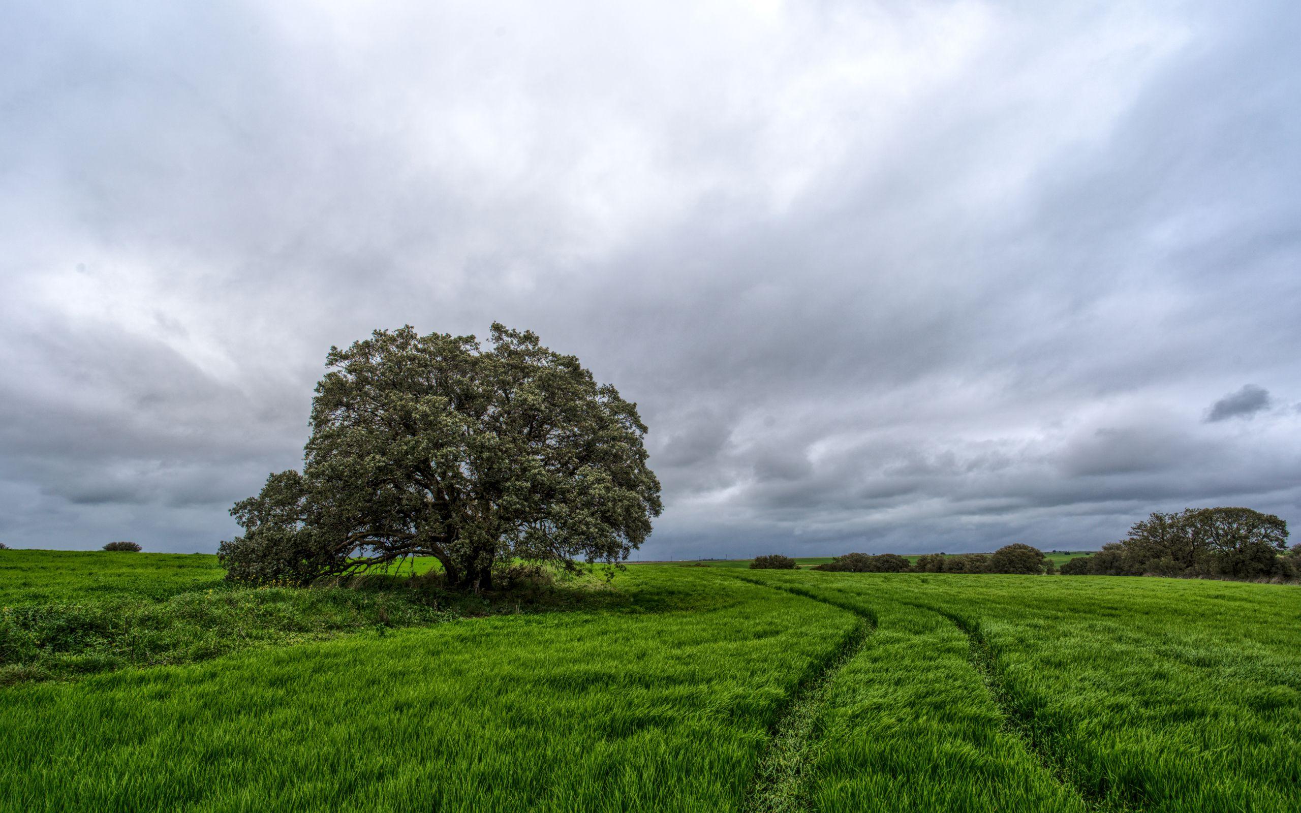 Xubuntu Wallpapers - Top Free Xubuntu Backgrounds - WallpaperAccess