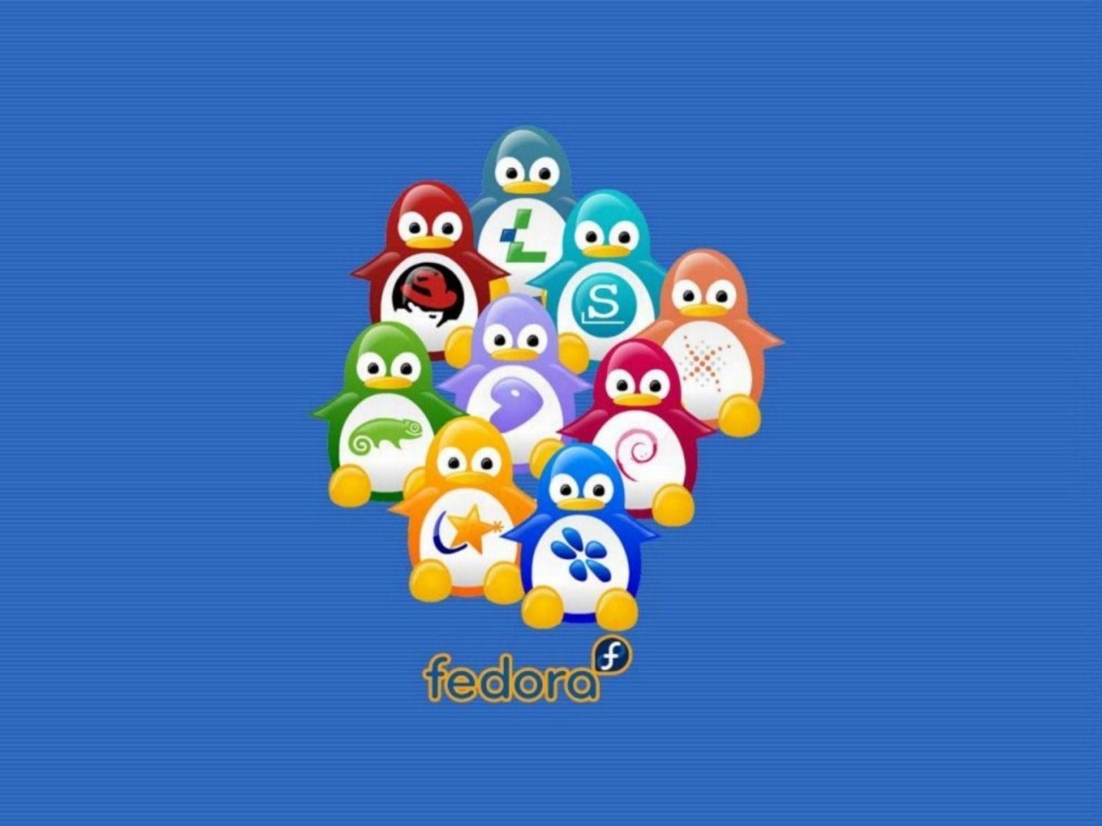 Fedora Linux Wallpapers - Top Free Fedora Linux Backgrounds ...