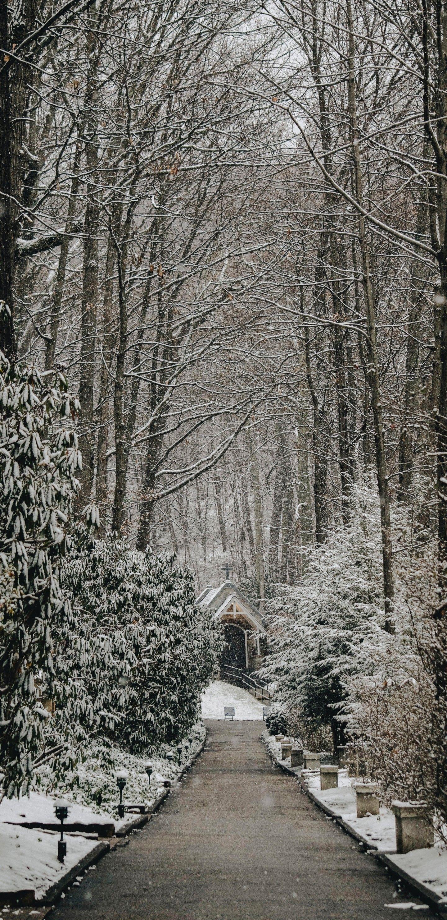 Church Worship Backgrounds Winter