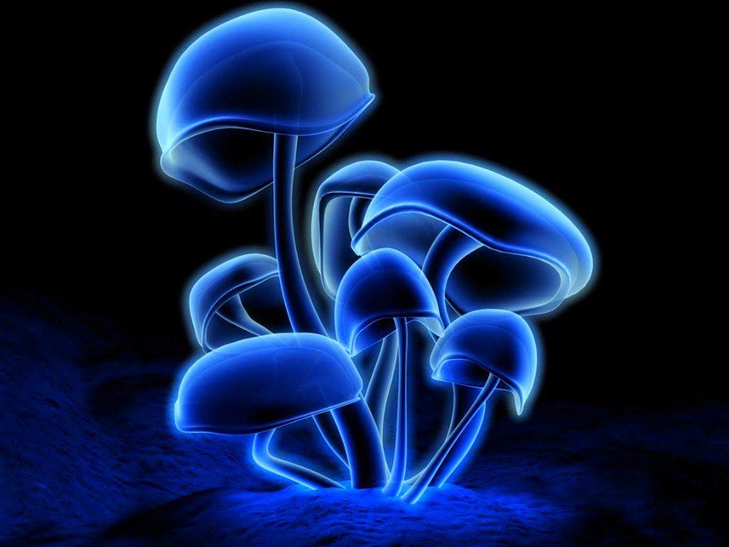 Internet 3D Wallpapers - Top Free Internet 3D Backgrounds - WallpaperAccess