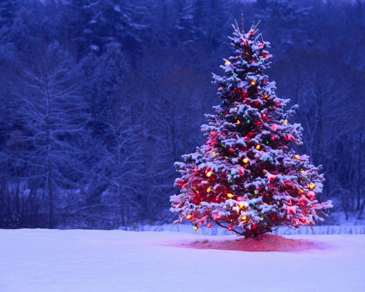 Snow Christmas Wallpapers - Top Free Snow Christmas Backgrounds ...