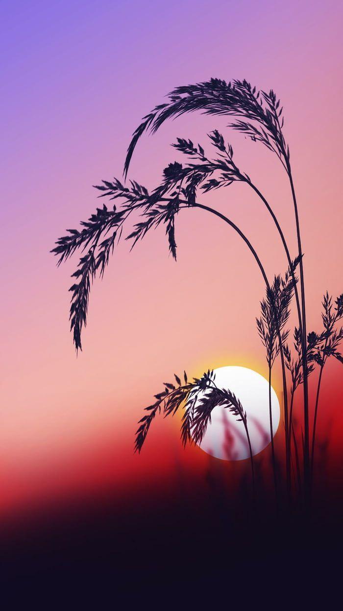Simple Sunrise Wallpapers - Top Free Simple Sunrise Backgrounds ...
