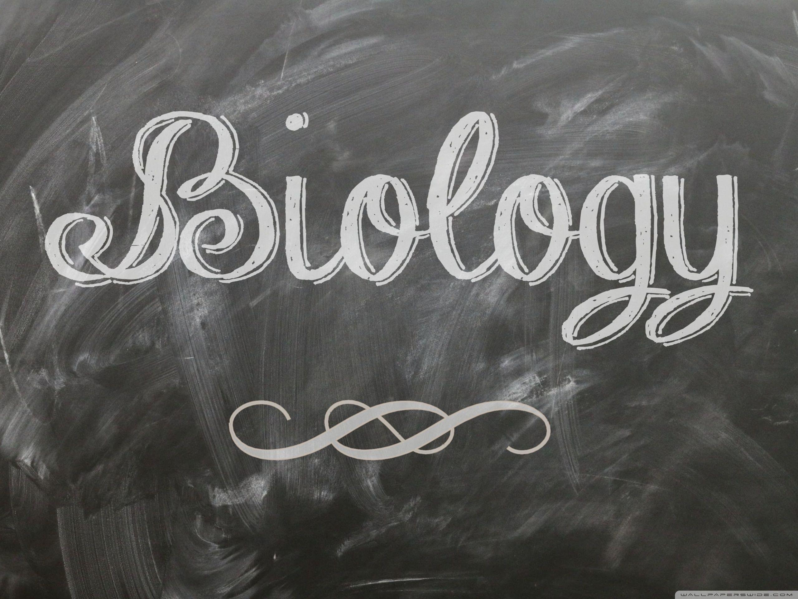 Cute Biology Wallpapers - Top Free Cute Biology Backgrounds ...