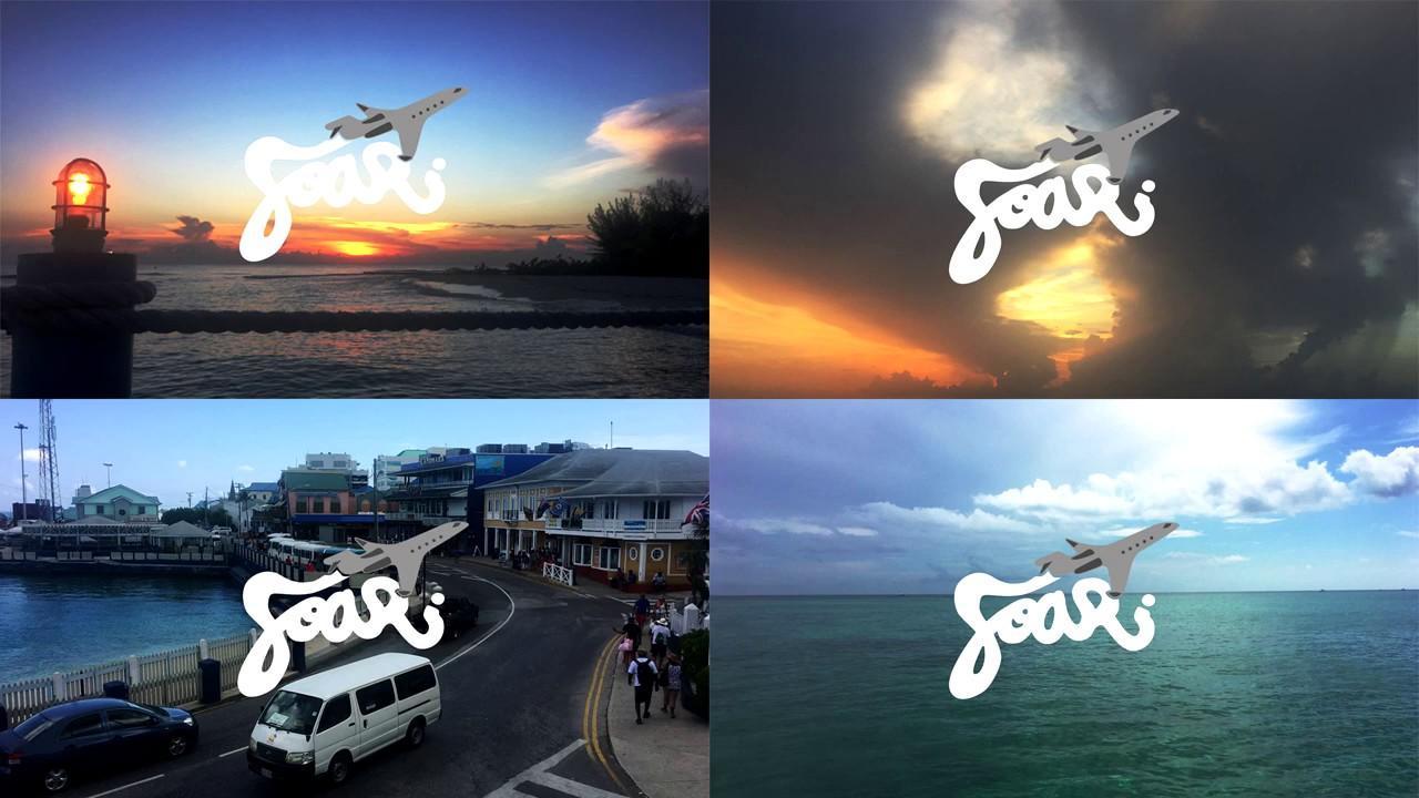 Soar Wallpapers - Top Free Soar Backgrounds - WallpaperAccess