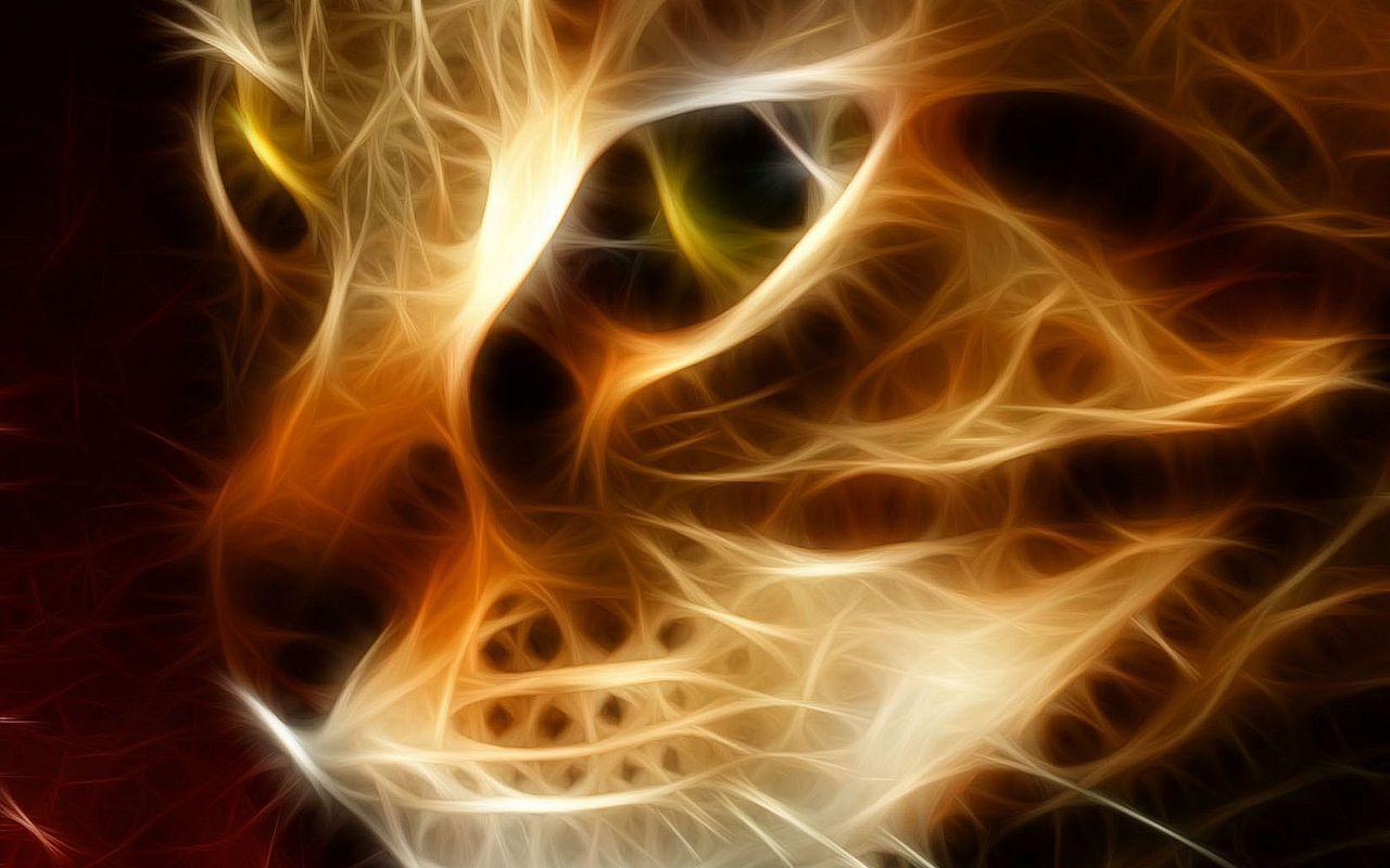 Fire Cat Wallpapers - Top Free Fire Cat Backgrounds - WallpaperAccess