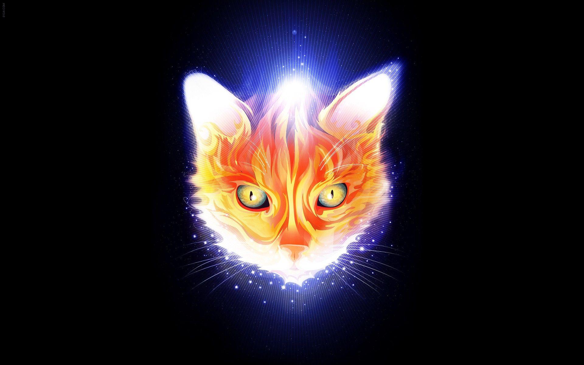 Fire Cat Wallpapers - Top Free Fire Cat Backgrounds - WallpaperAccess
