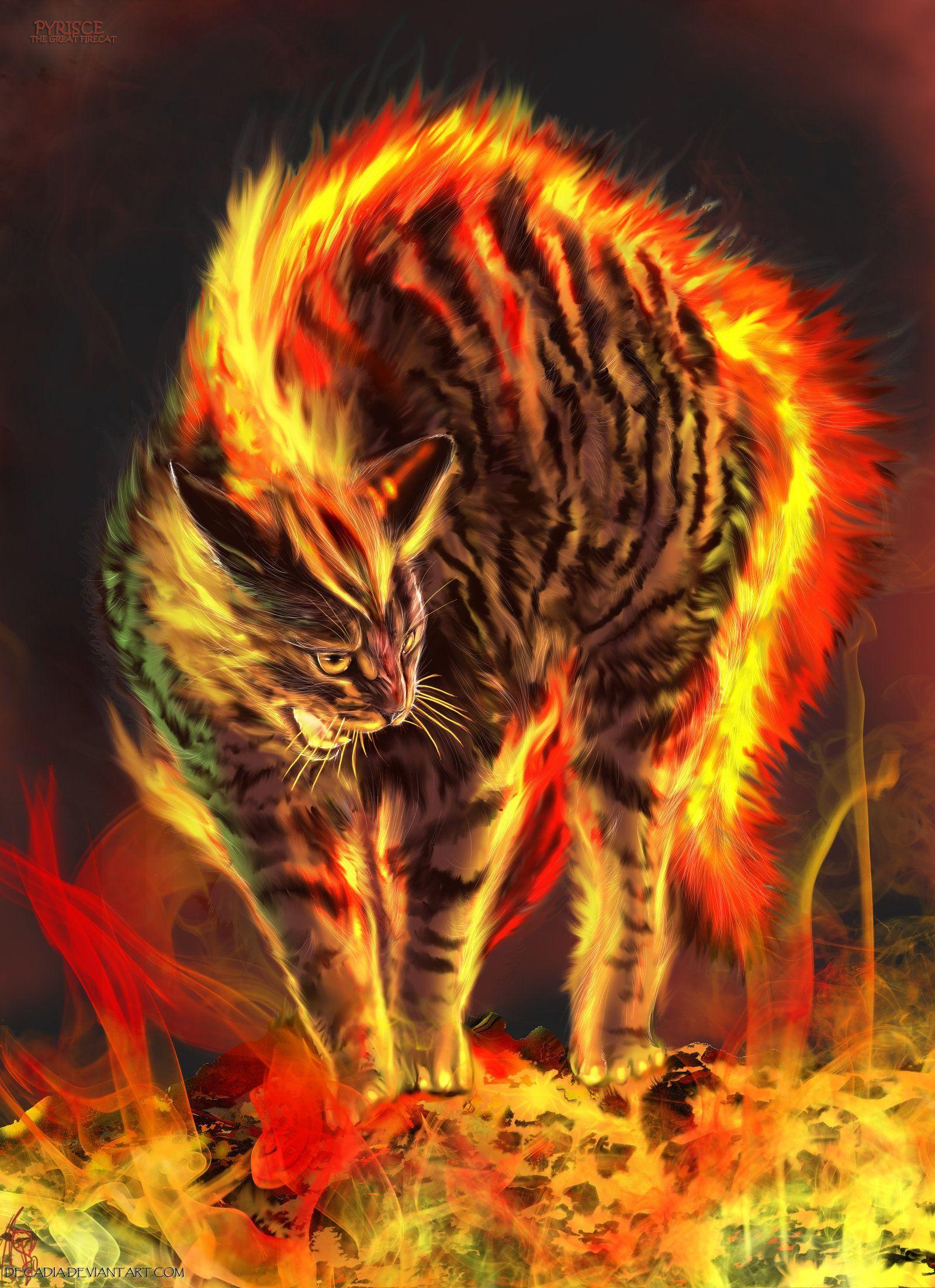 Fire Cat Wallpapers - Top Free Fire Cat Backgrounds - WallpaperAccess