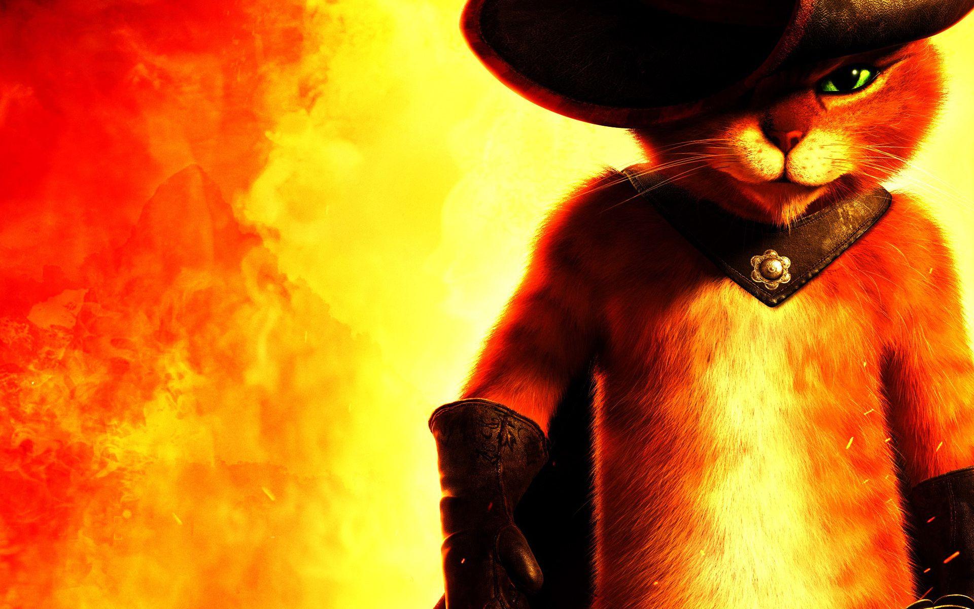 Fire Cat Wallpapers - Top Free Fire Cat Backgrounds - WallpaperAccess