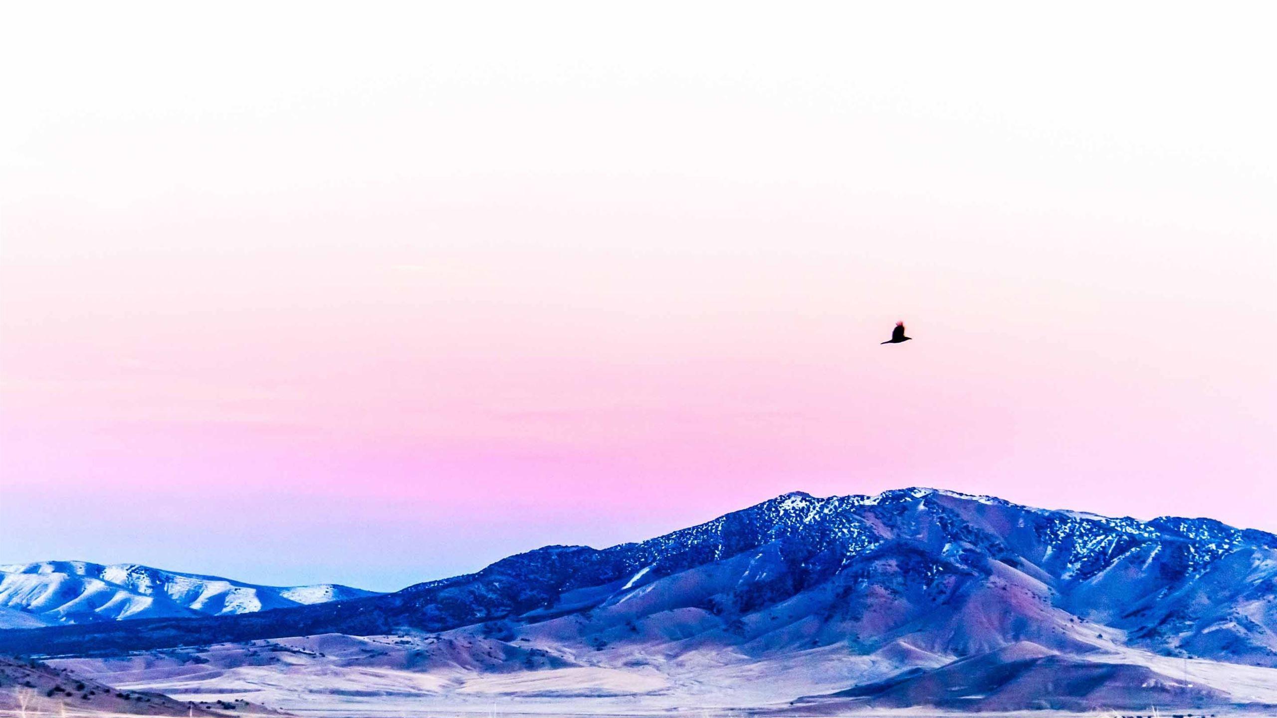 Soar Wallpapers - Top Free Soar Backgrounds - WallpaperAccess