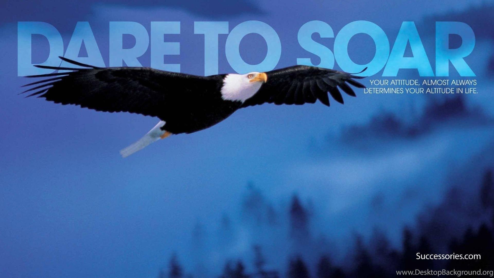 Soar Wallpapers - Top Free Soar Backgrounds - WallpaperAccess