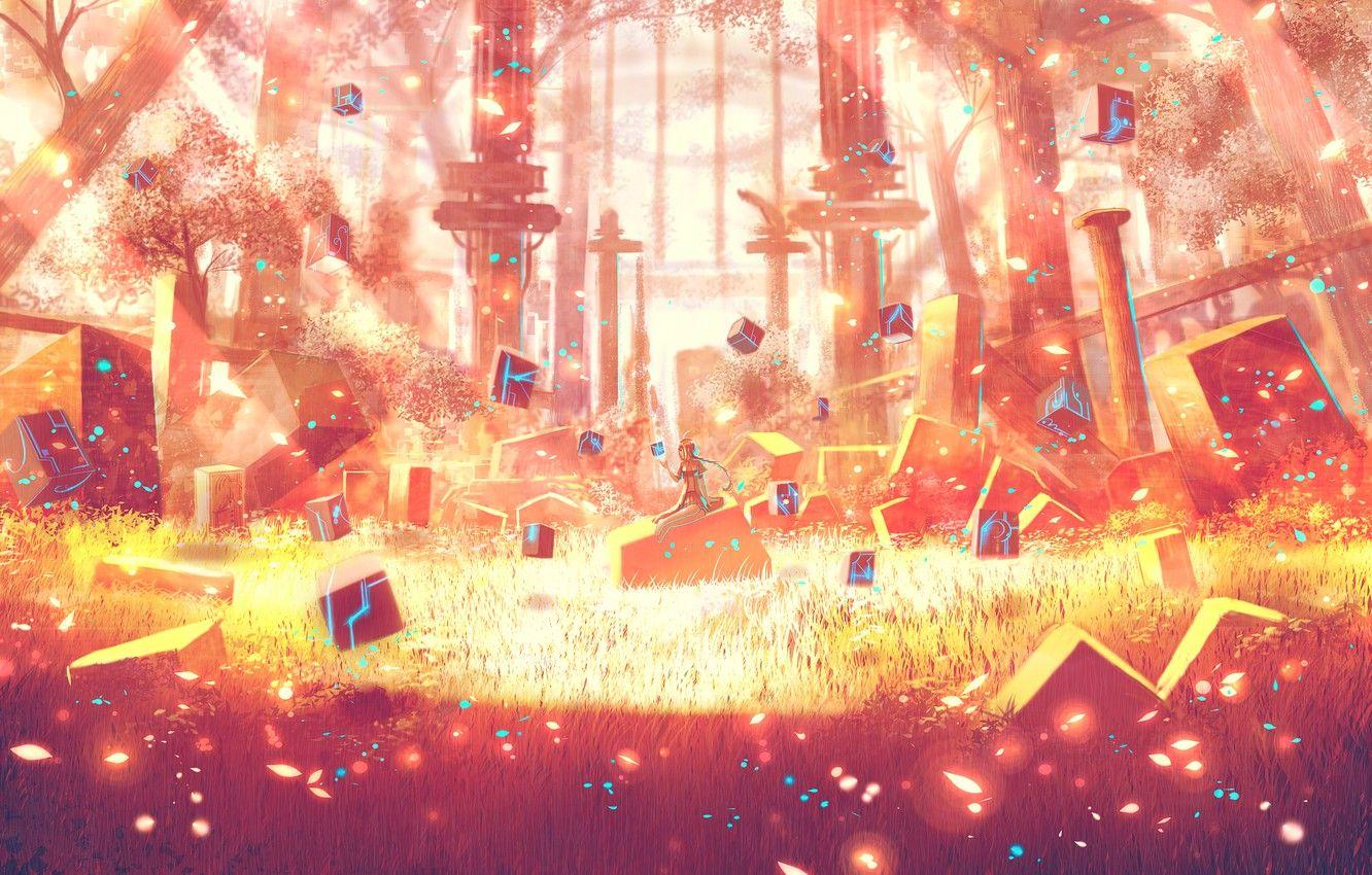 Soar Wallpapers - Top Free Soar Backgrounds - WallpaperAccess