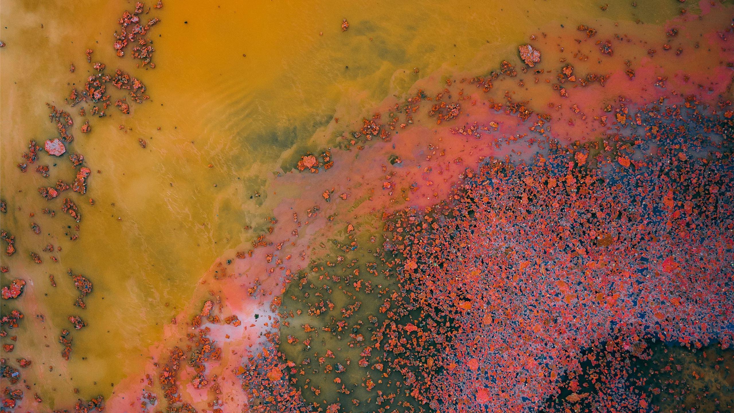 Jackson Pollock Desktop Wallpapers - Top Free Jackson Pollock Desktop ...