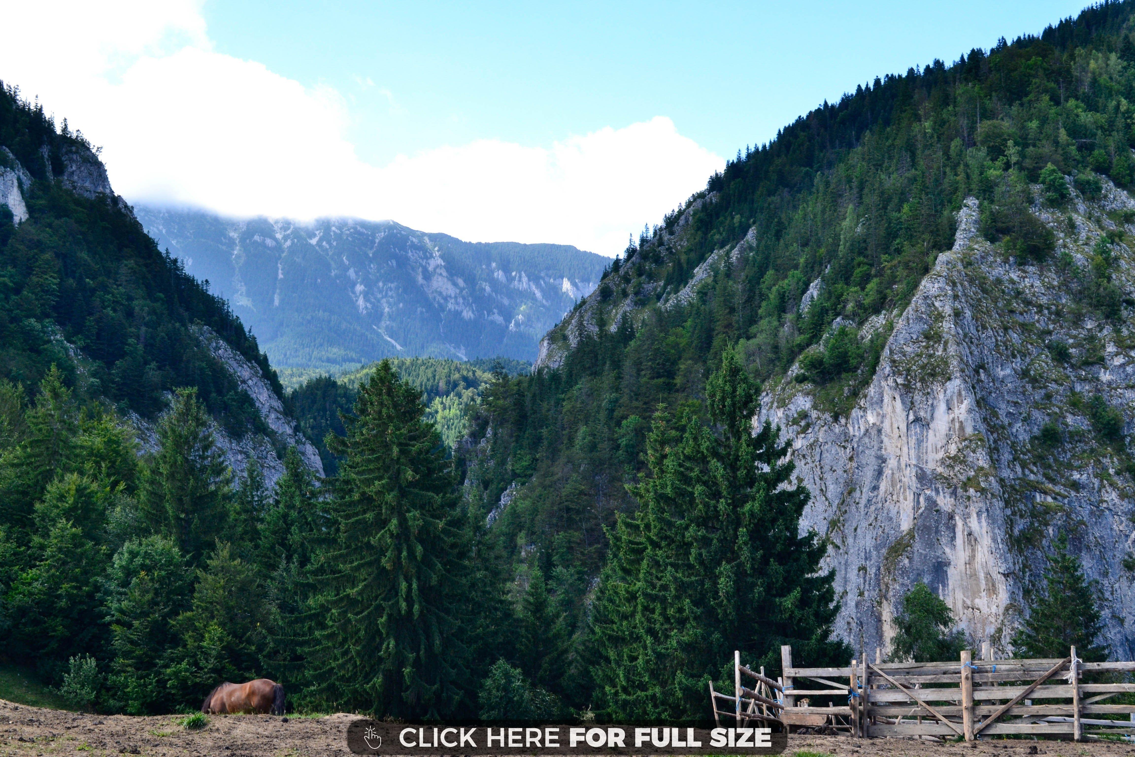 Romania Wallpapers - Top Free Romania Backgrounds - WallpaperAccess