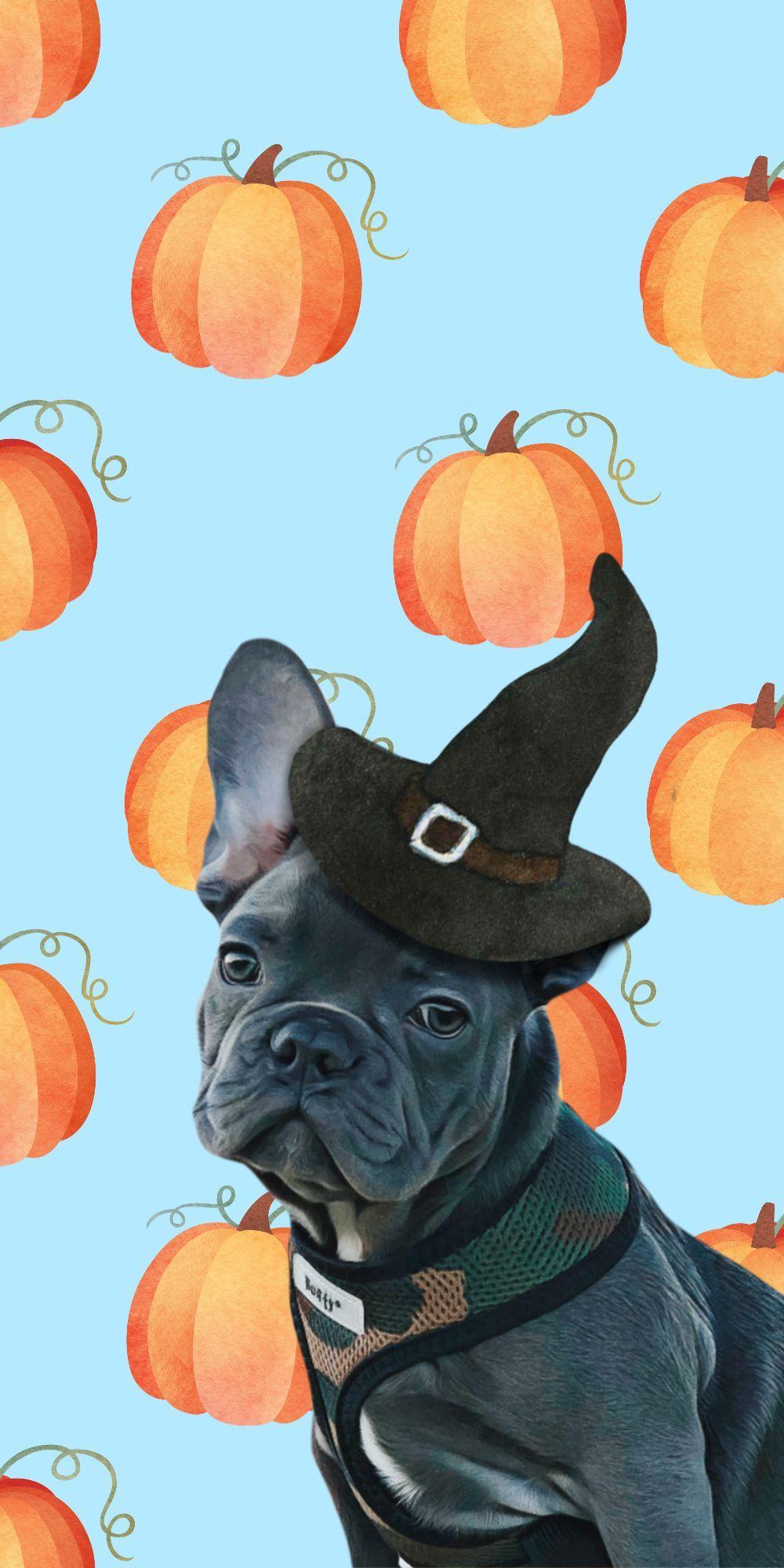 Cute Halloween Puppy Wallpapers - Top Free Cute Halloween Puppy ...