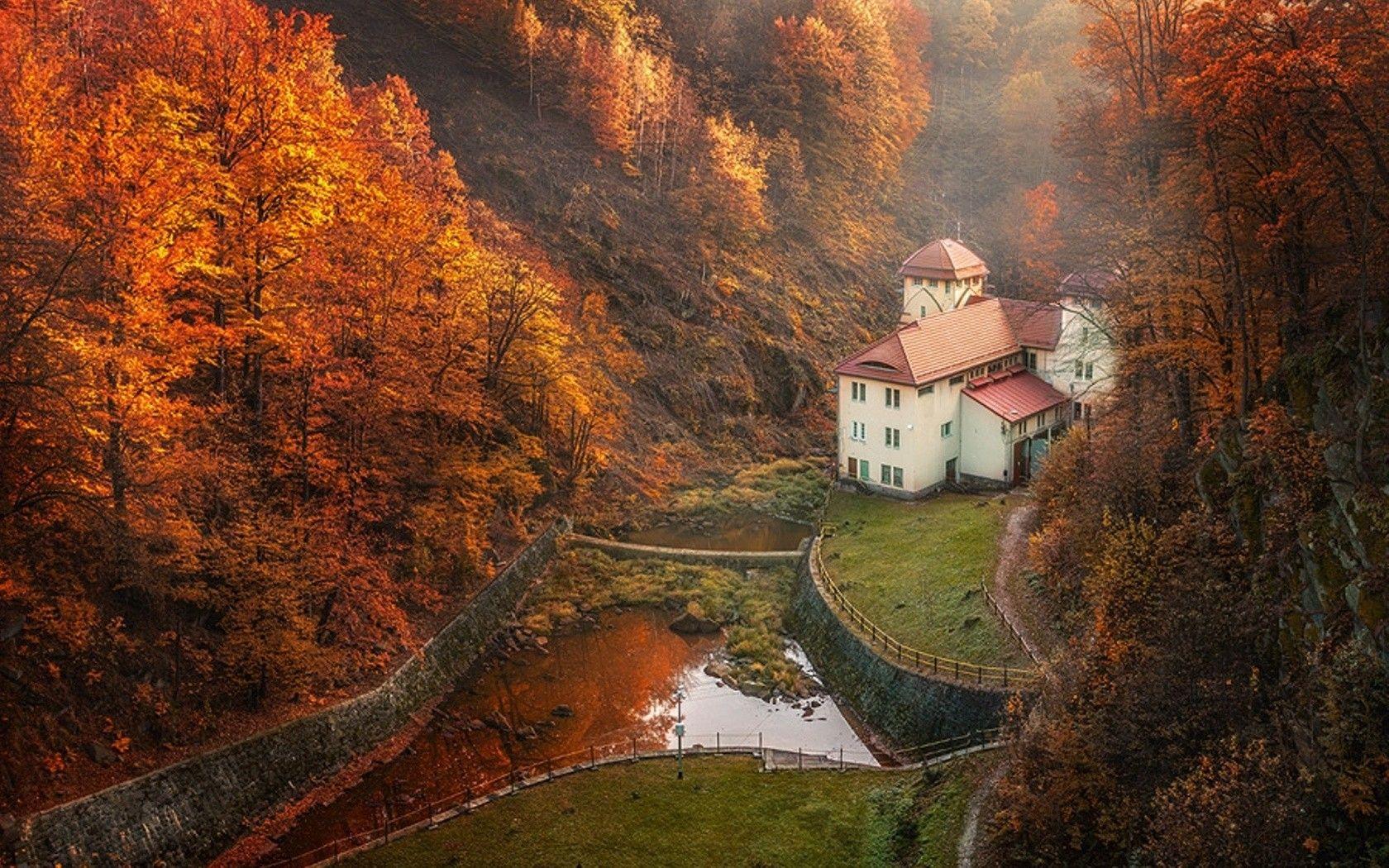 Forest House Wallpapers - Top Free Forest House Backgrounds ...