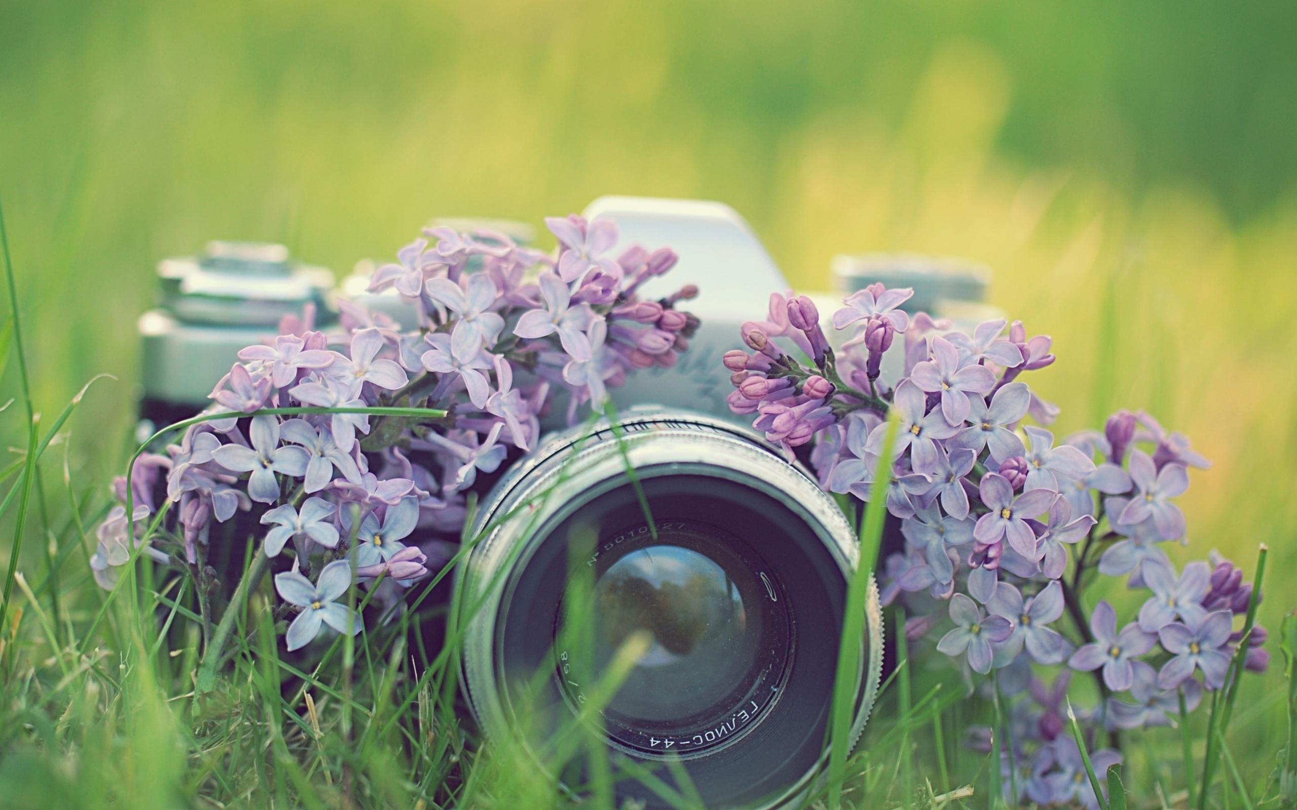 Floral Camera Wallpapers - Top Free Floral Camera Backgrounds ...