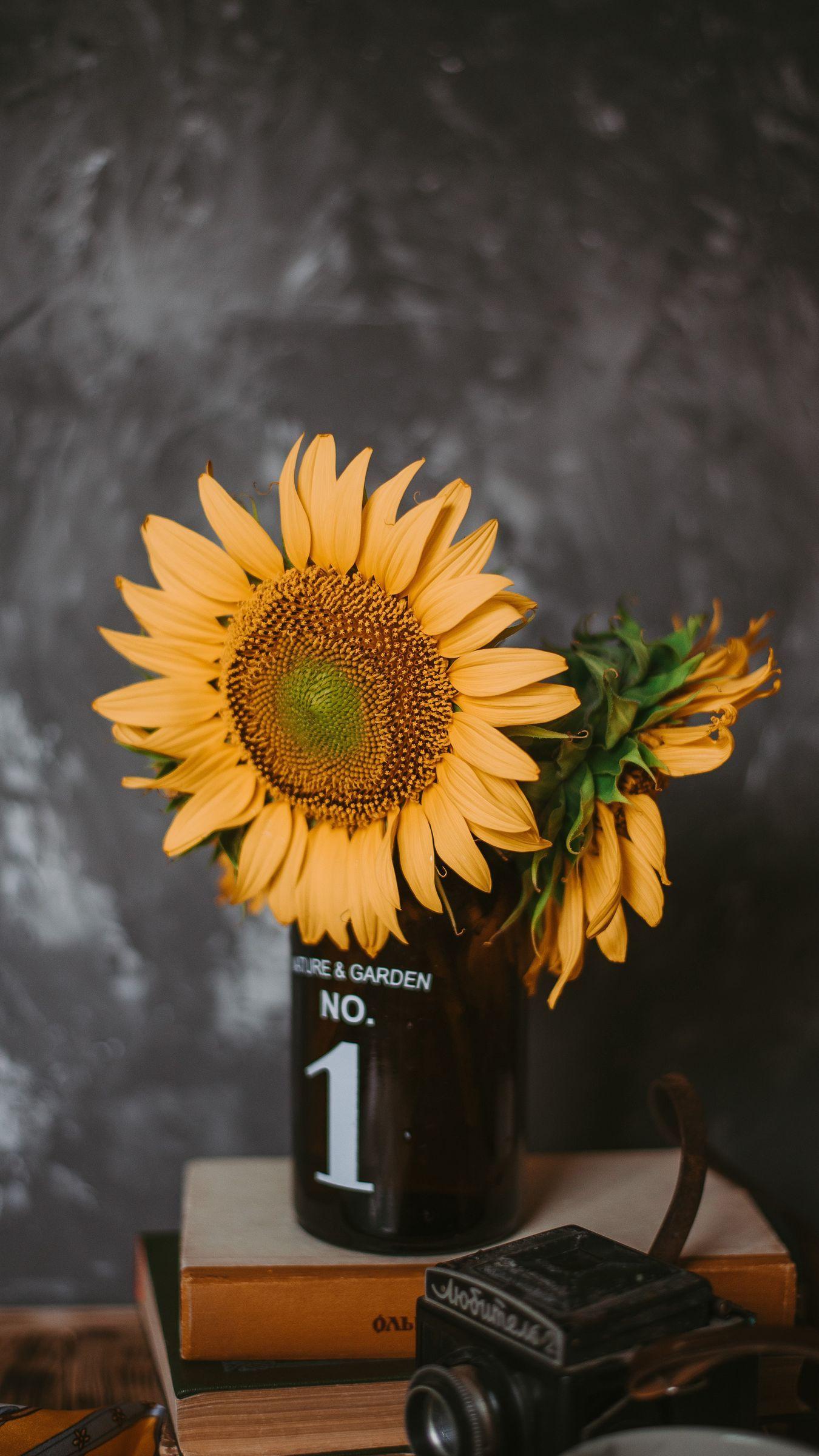 Floral Camera Wallpapers - Top Free Floral Camera Backgrounds ...