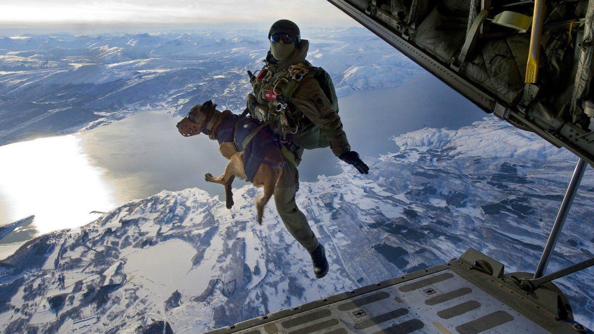 Skydiving Wallpapers - Top Free Skydiving Backgrounds - WallpaperAccess