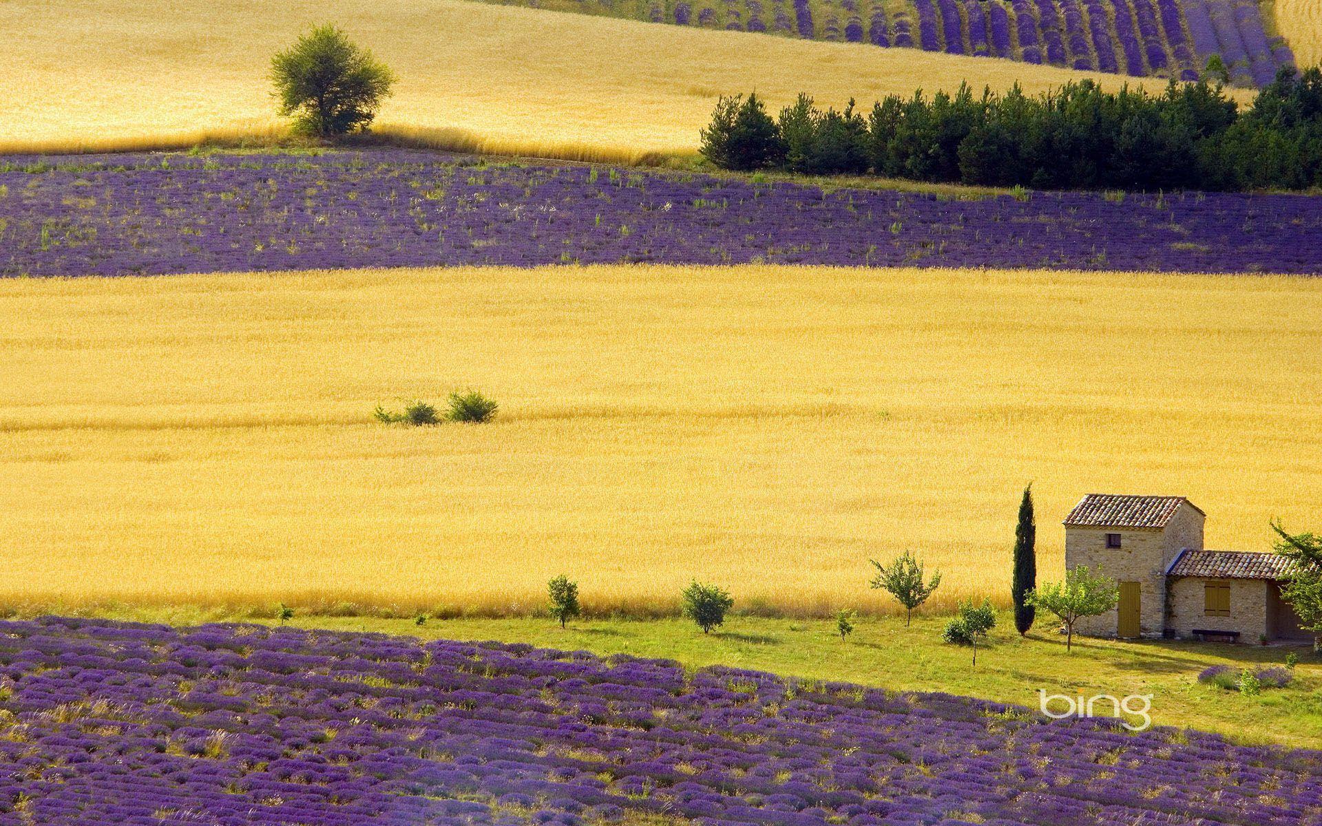 Provence Wallpapers - Top Free Provence Backgrounds - WallpaperAccess