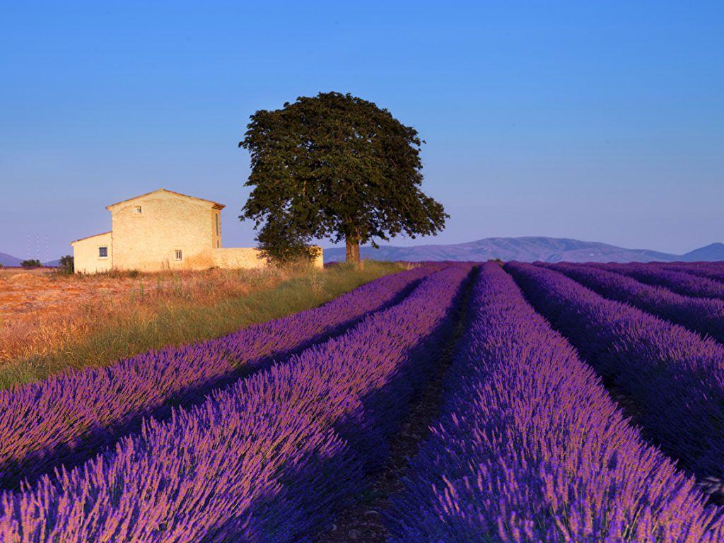 Provence Wallpapers - Top Free Provence Backgrounds - WallpaperAccess