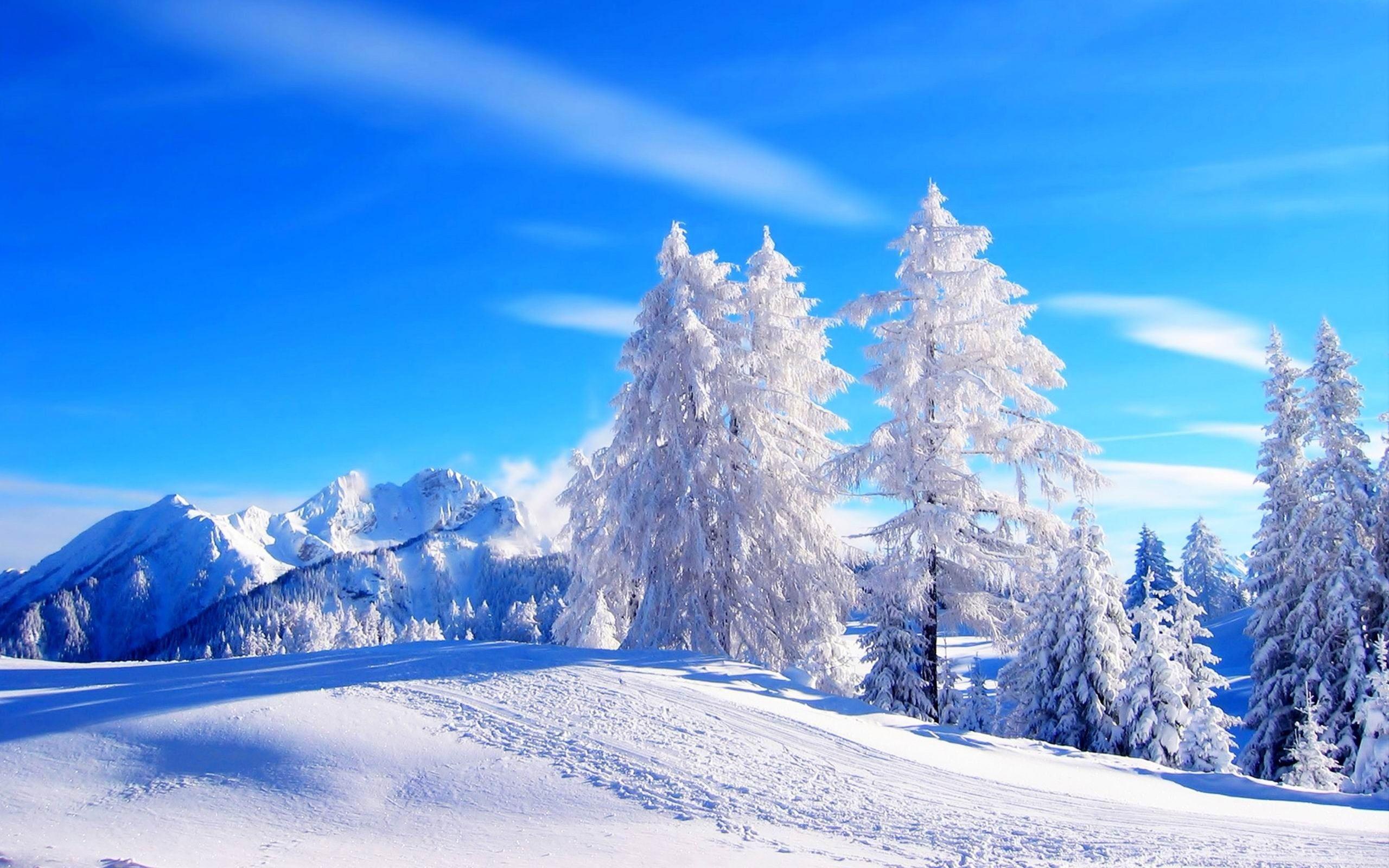 Snow Computer Wallpapers - Top Free Snow Computer Backgrounds ...
