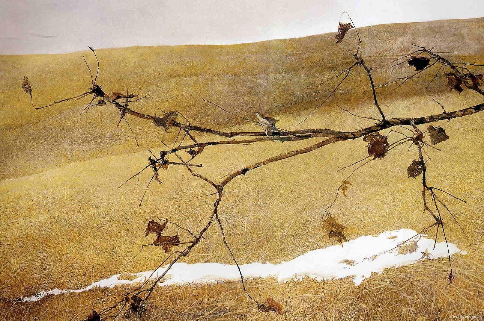 Andrew Wyeth Wallpapers Top Free Andrew Wyeth Backgrounds 6189