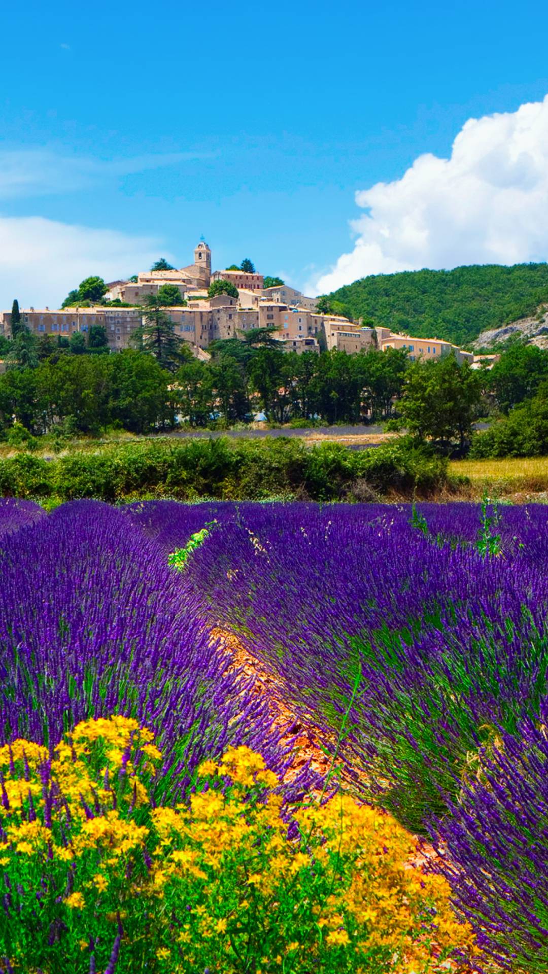 Provence Wallpapers - Top Free Provence Backgrounds - WallpaperAccess