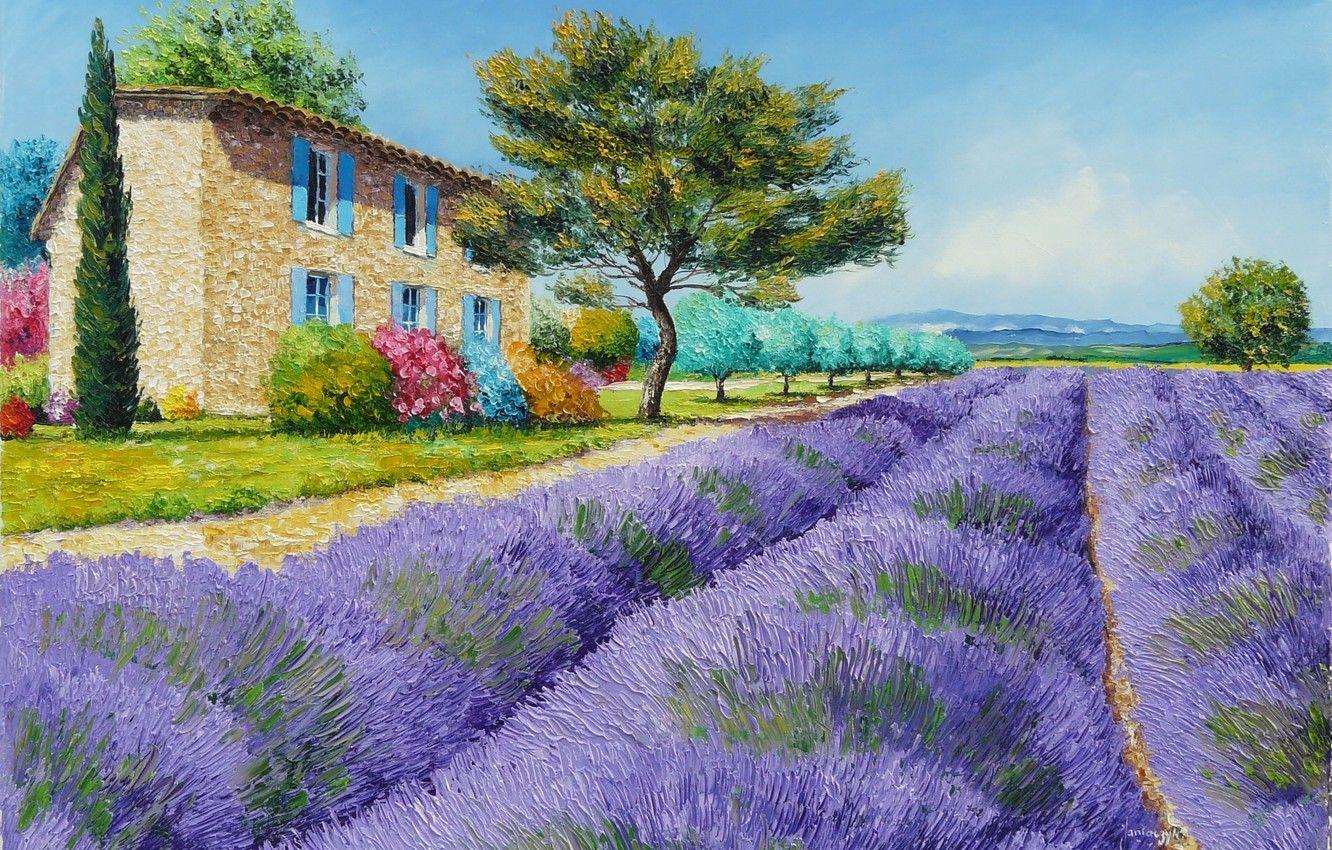 Provence Wallpapers - Top Free Provence Backgrounds - WallpaperAccess