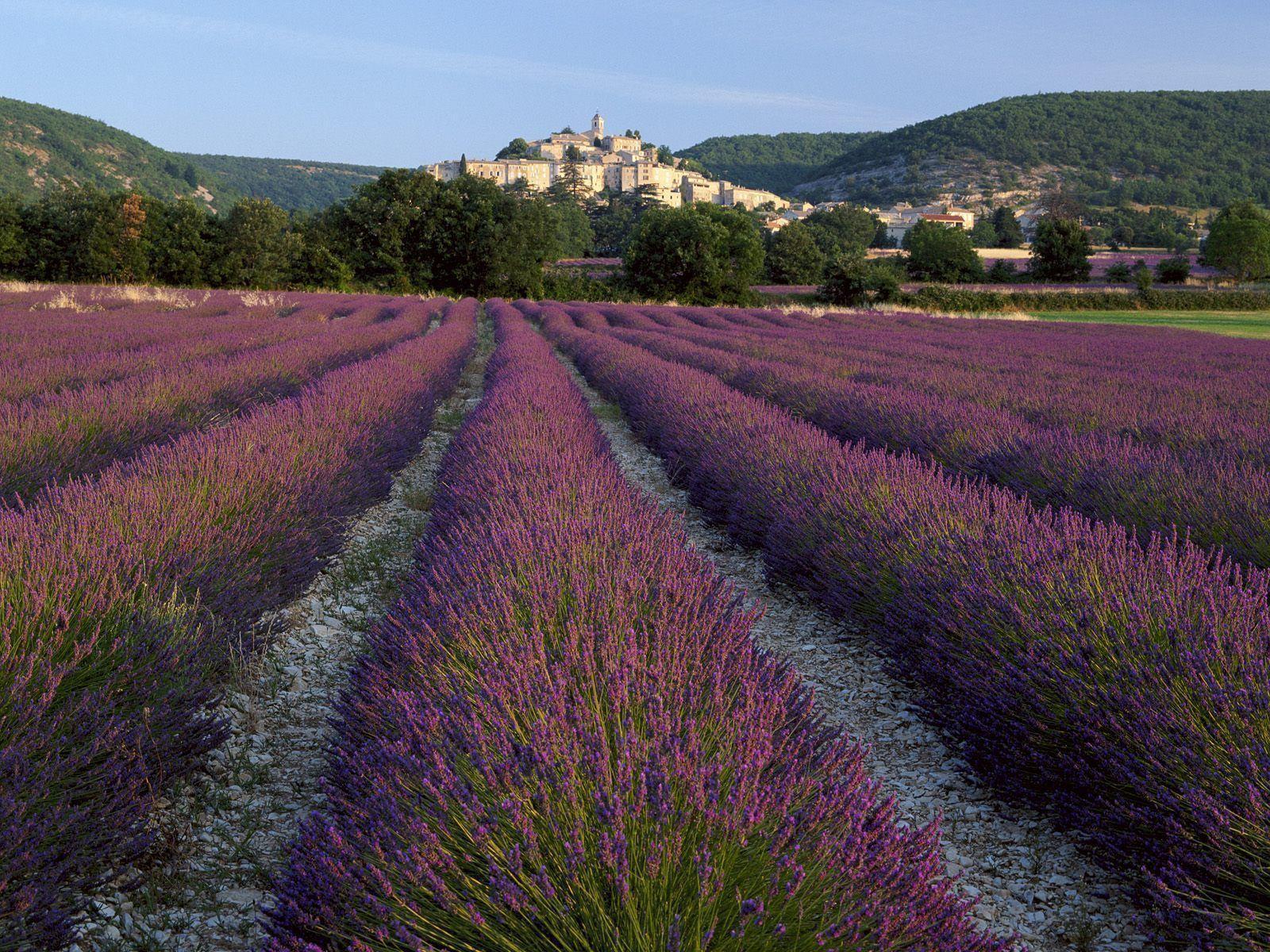 Provence Wallpapers - Top Free Provence Backgrounds - WallpaperAccess
