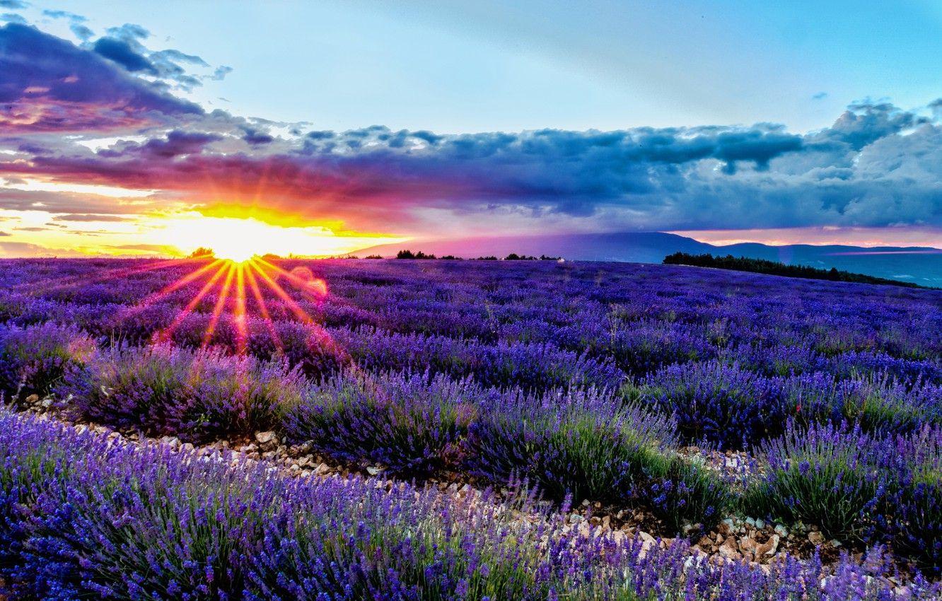 Provence Wallpapers - Top Free Provence Backgrounds - WallpaperAccess