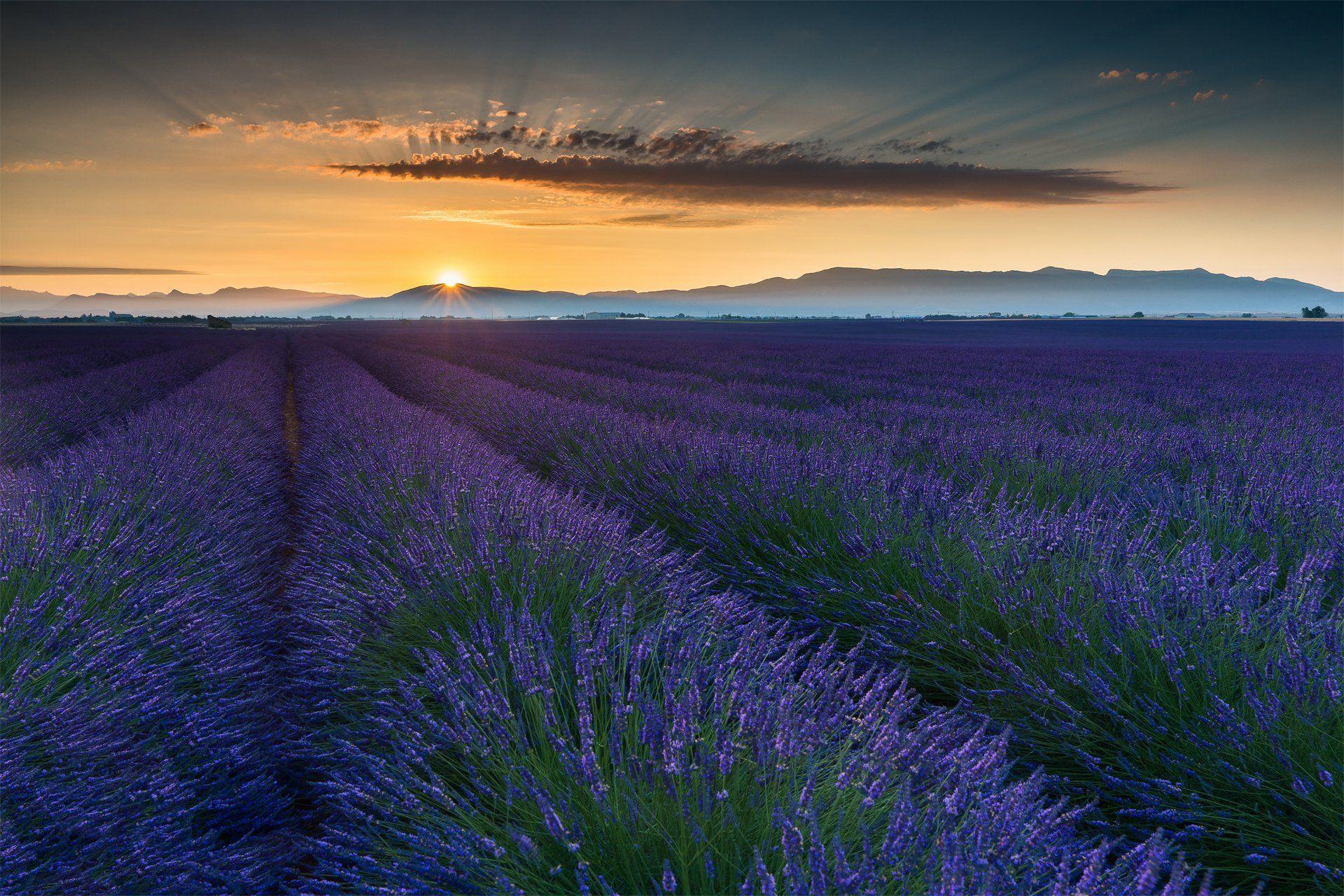 Provence Wallpapers - Top Free Provence Backgrounds - WallpaperAccess