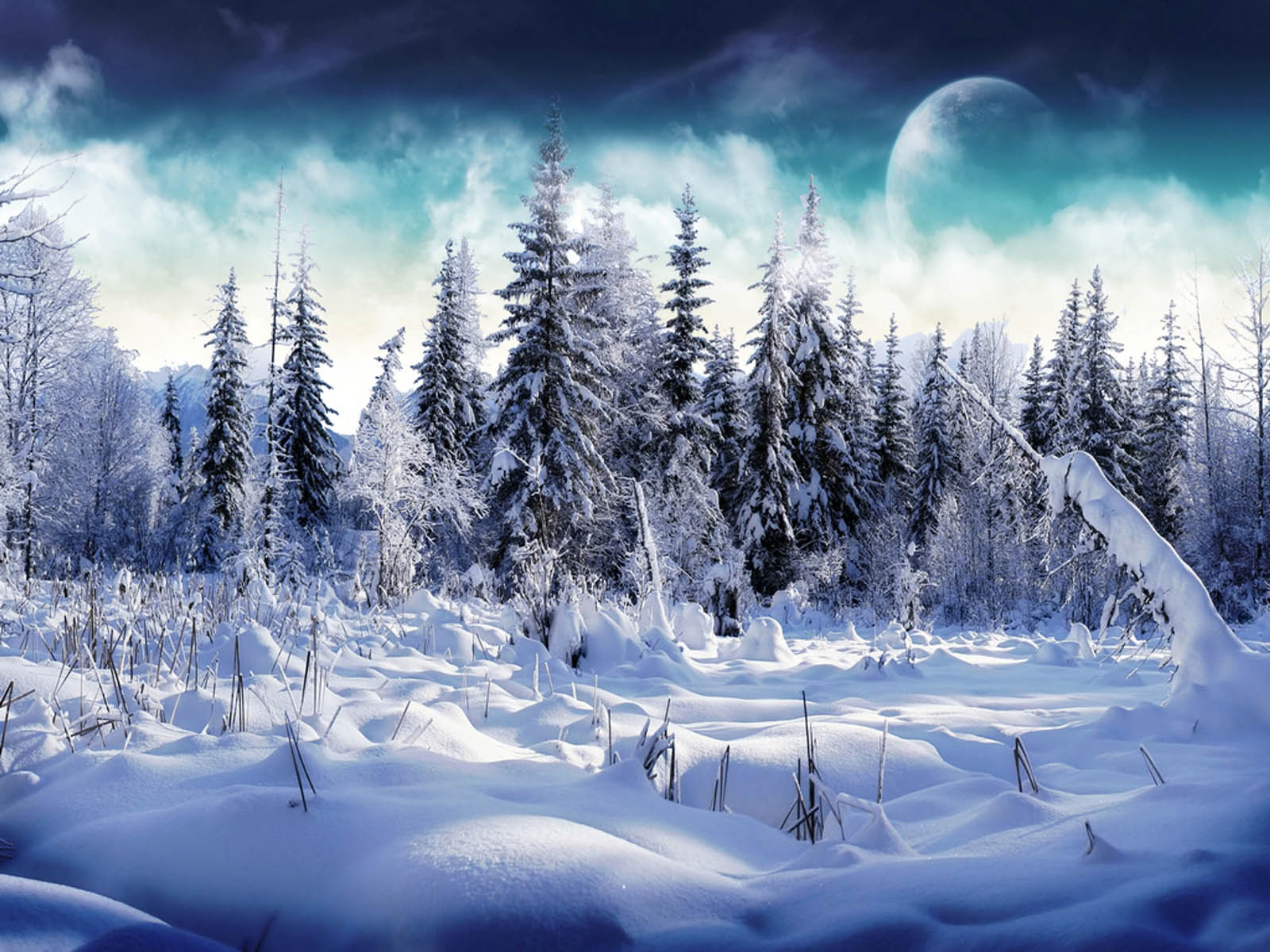 Snowy Desktop Wallpapers - Top Free Snowy Desktop Backgrounds ...