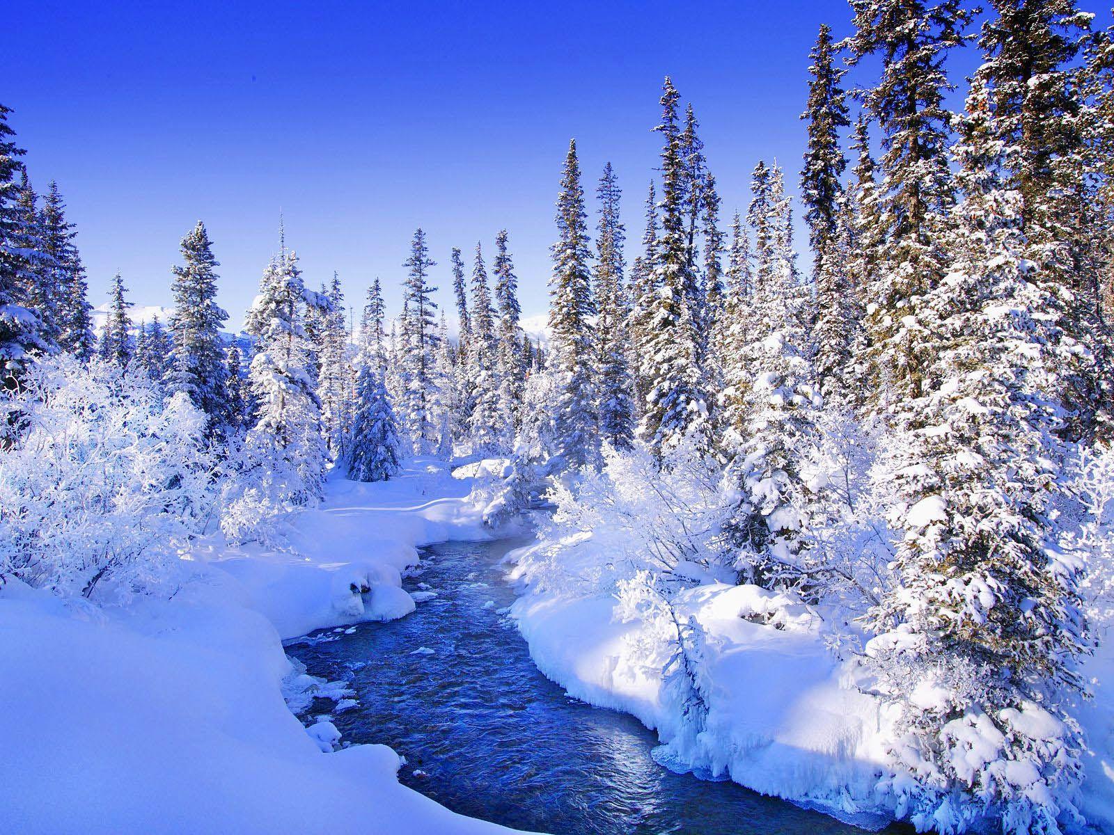 Snowy Desktop Wallpapers - Top Free Snowy Desktop Backgrounds ...