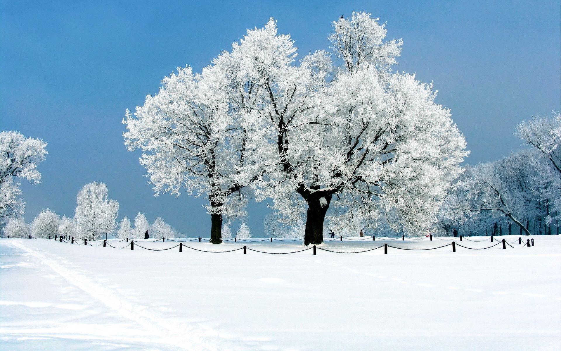 Snowy Desktop Wallpapers - Top Free Snowy Desktop Backgrounds ...