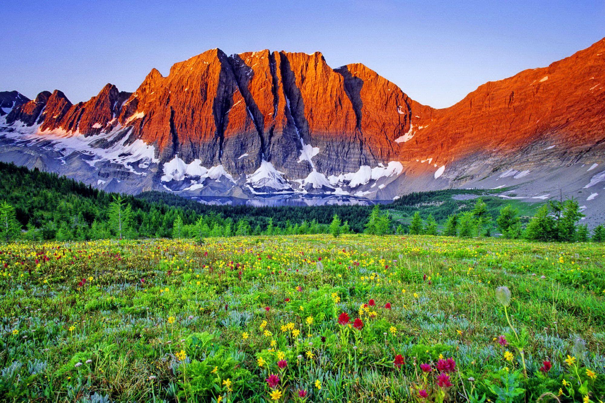 Mountain Meadow Wallpapers - Top Free Mountain Meadow Backgrounds ...