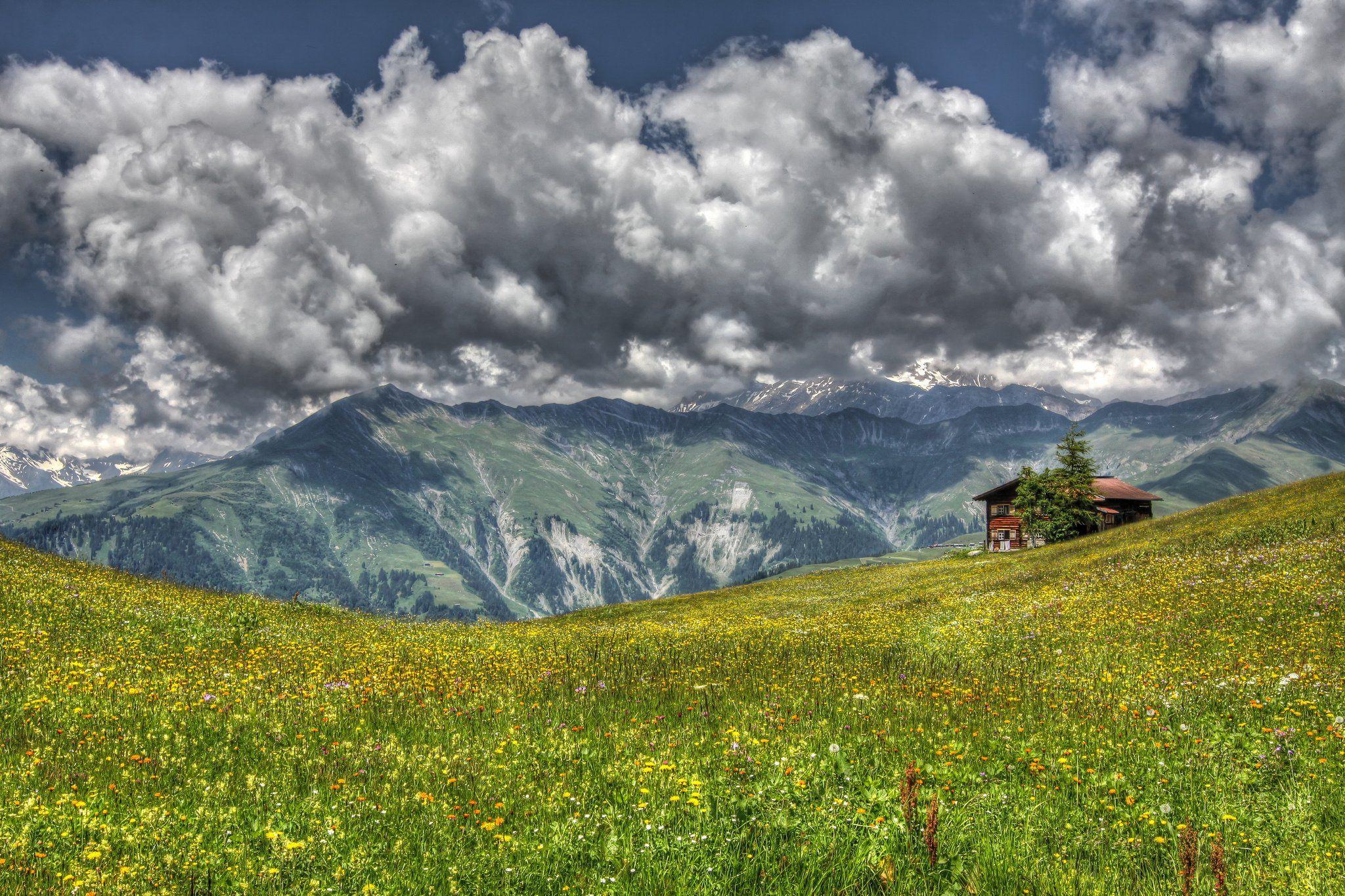 Mountain Meadow Wallpapers - Top Free Mountain Meadow Backgrounds ...
