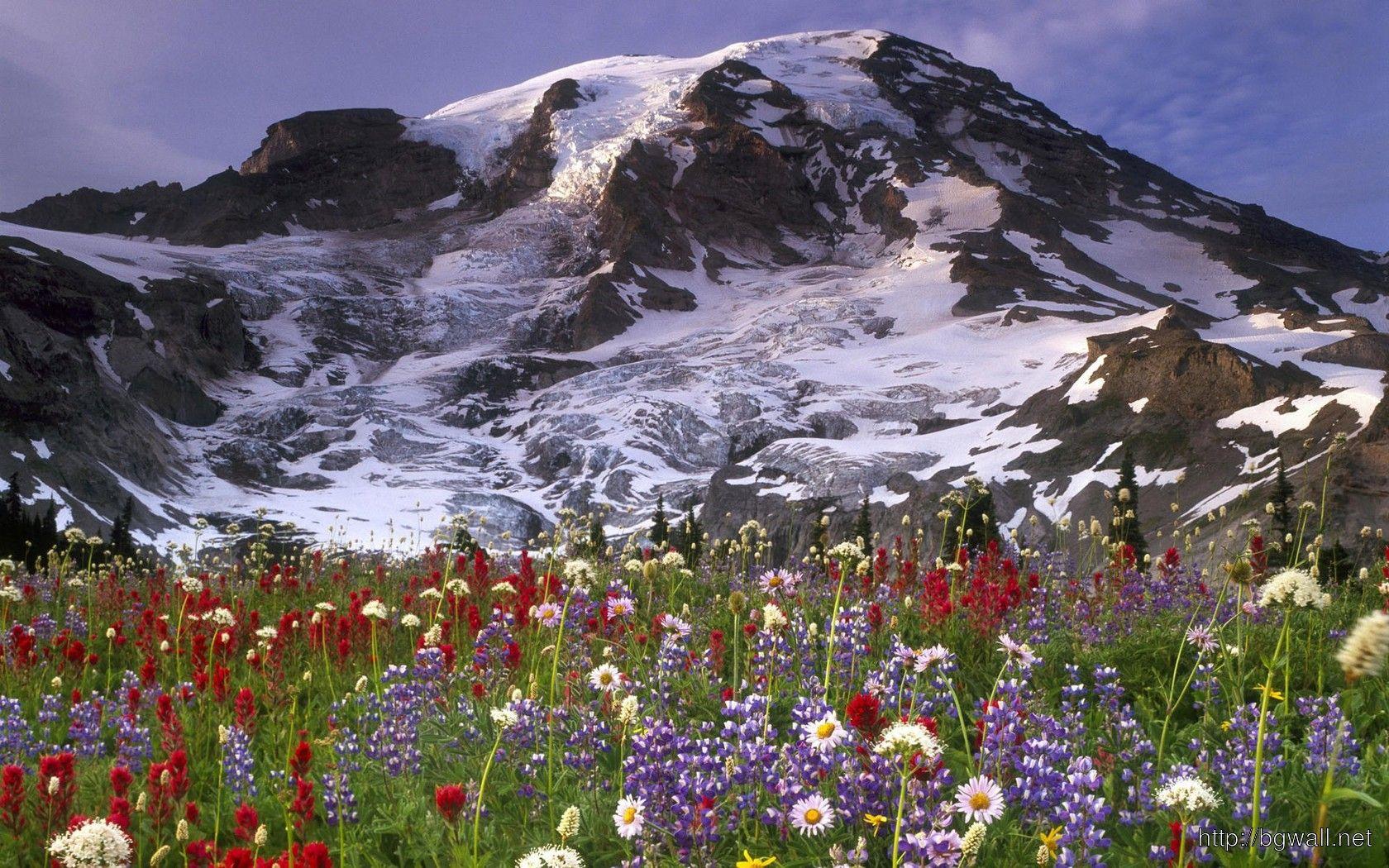 Mountain Meadow Wallpapers - Top Free Mountain Meadow Backgrounds ...