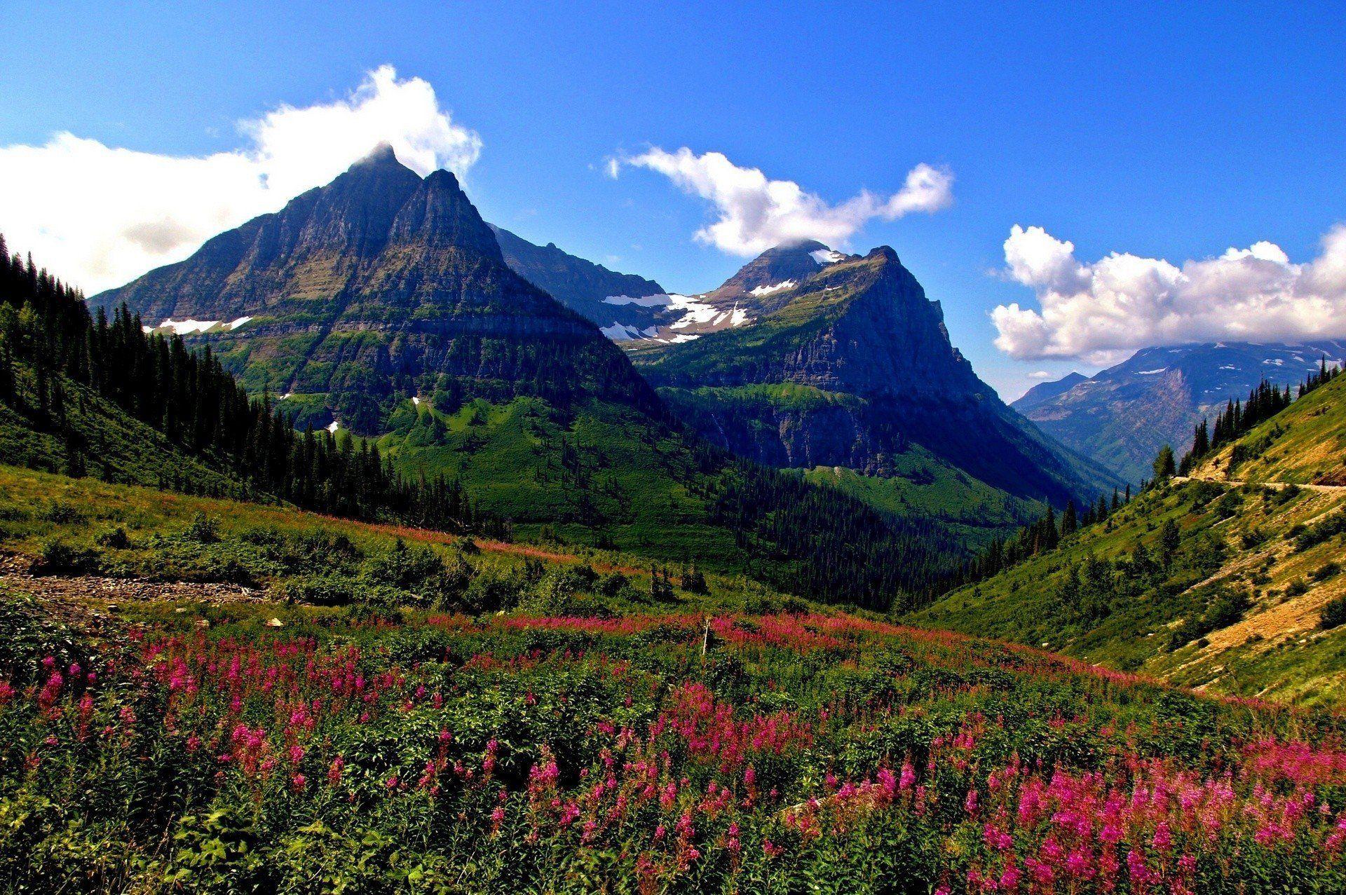 Mountain Meadow Wallpapers - Top Free Mountain Meadow Backgrounds ...