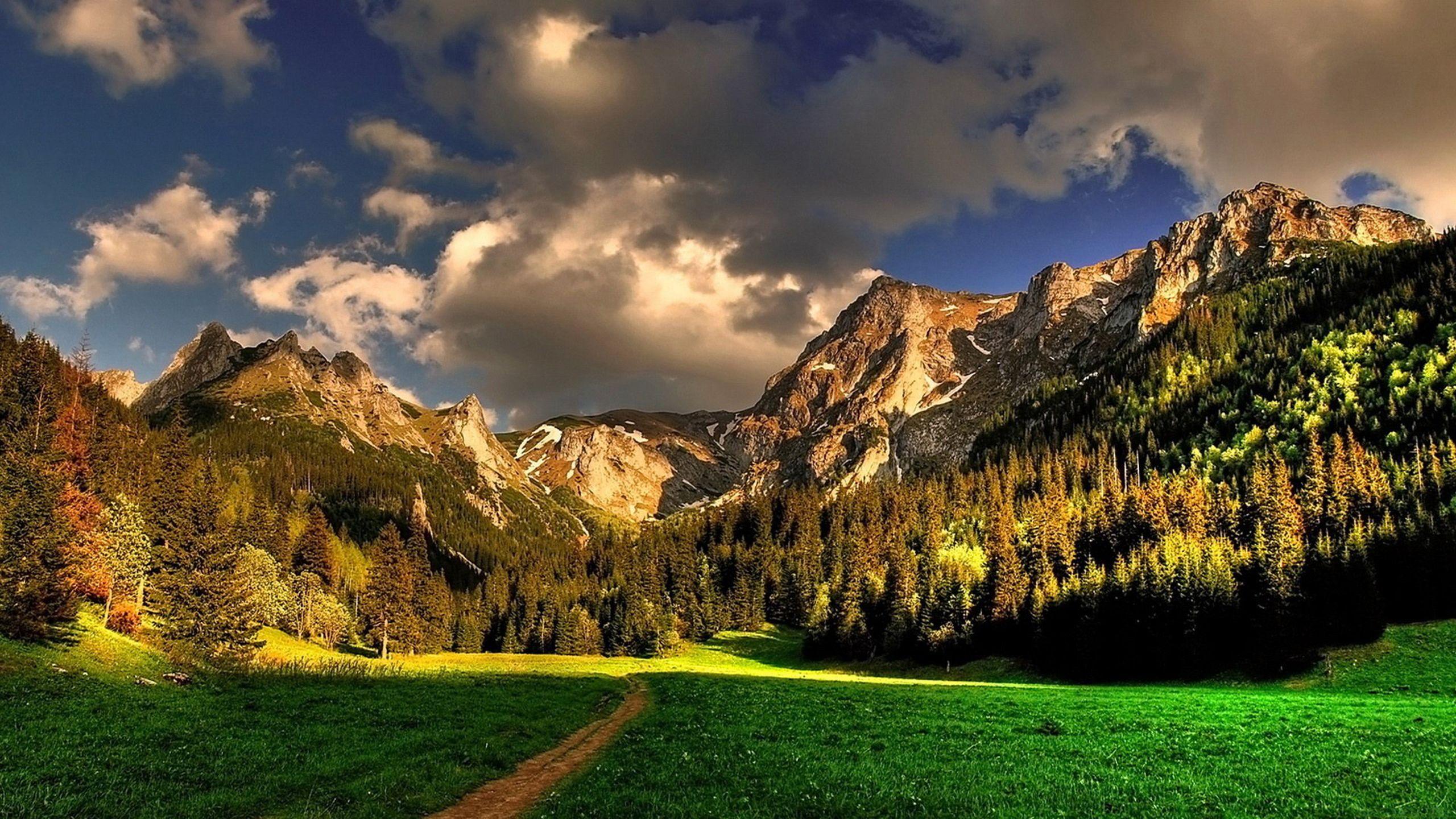 Mountain Meadow Wallpapers - Top Free Mountain Meadow Backgrounds ...