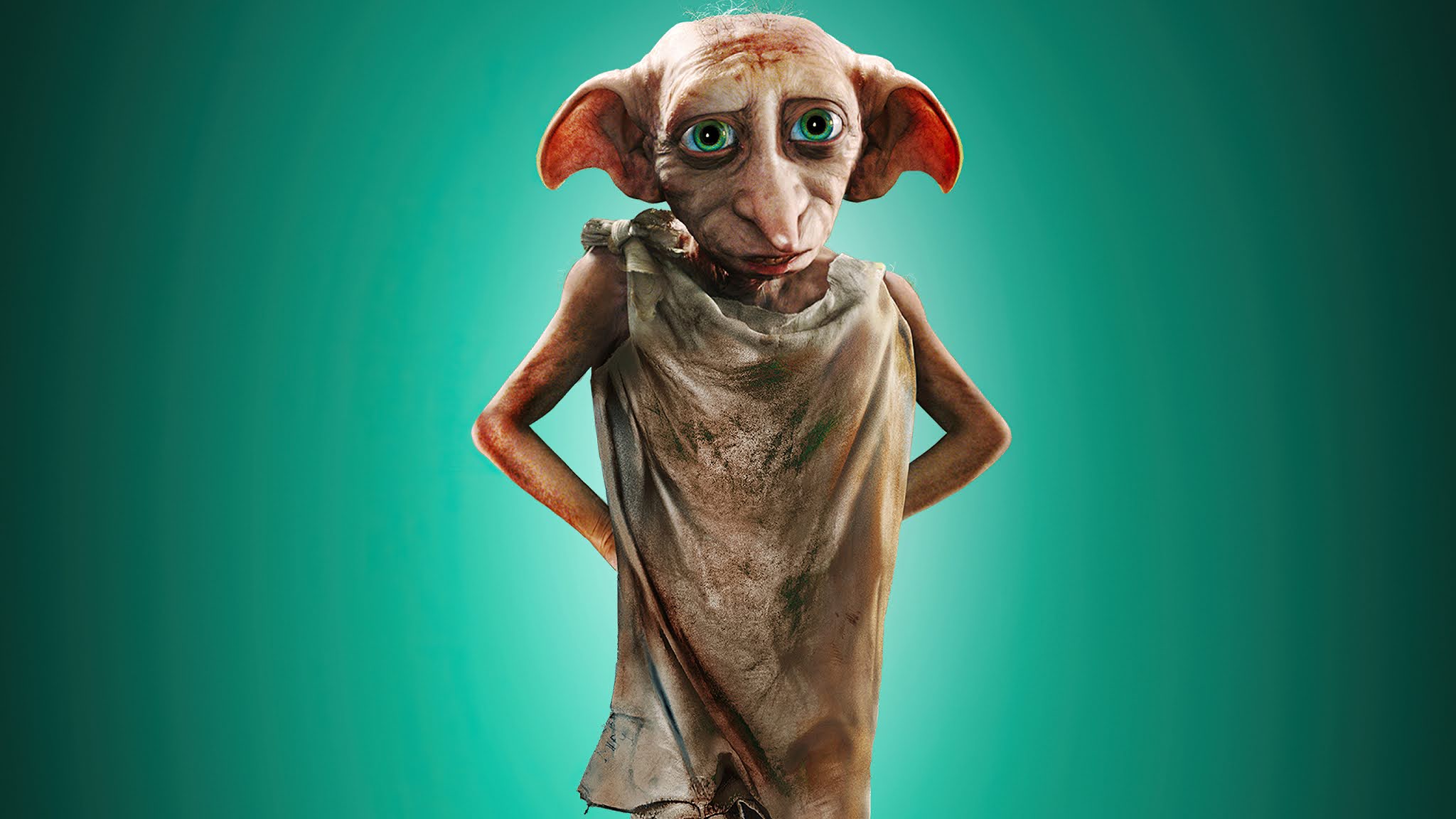 Dobby Laptop Wallpapers - Top Free Dobby Laptop Backgrounds ...