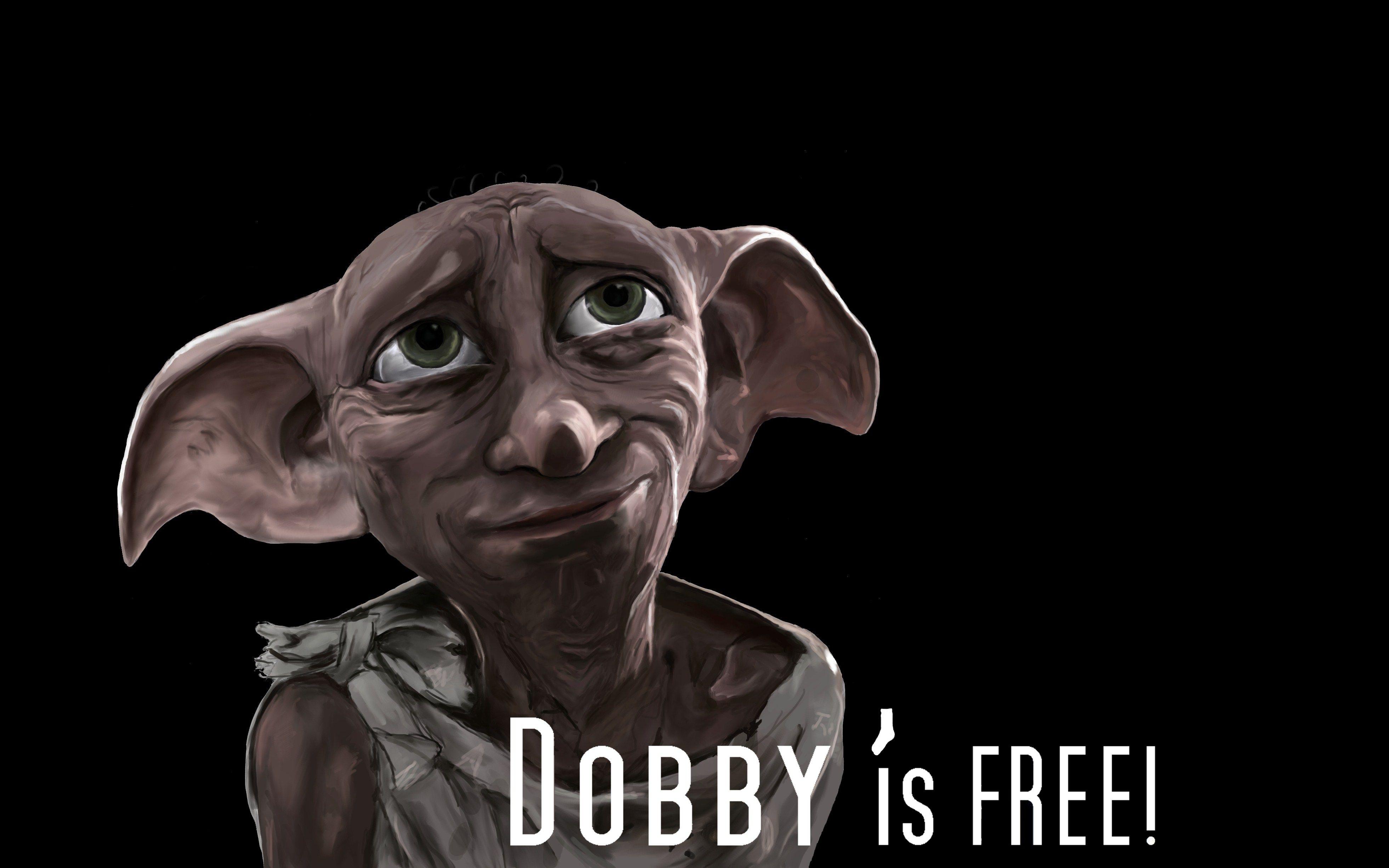 Cute Dobby Wallpapers - Top Free Cute Dobby Backgrounds - WallpaperAccess